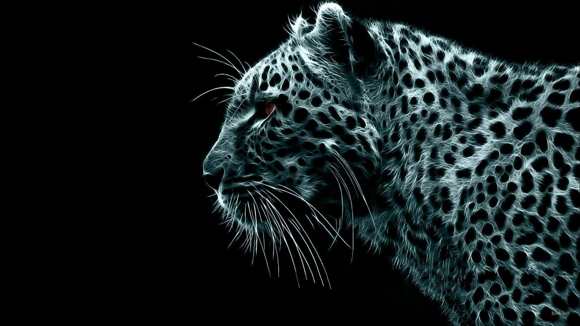 Download Animal Cheetah HD Wallpaper