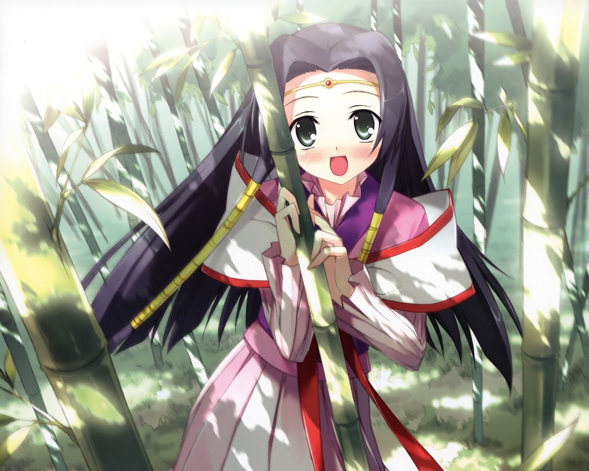 Kaguya Sumeragi HD Wallpaper - Code Geass Anime Art