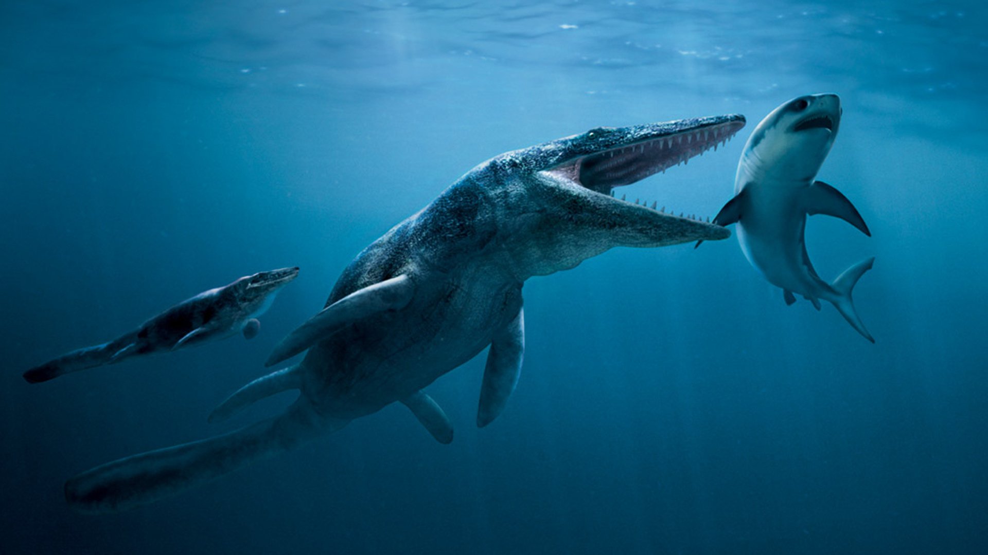 Majestic Marine Dinosaur in Stunning HD Wallpaper