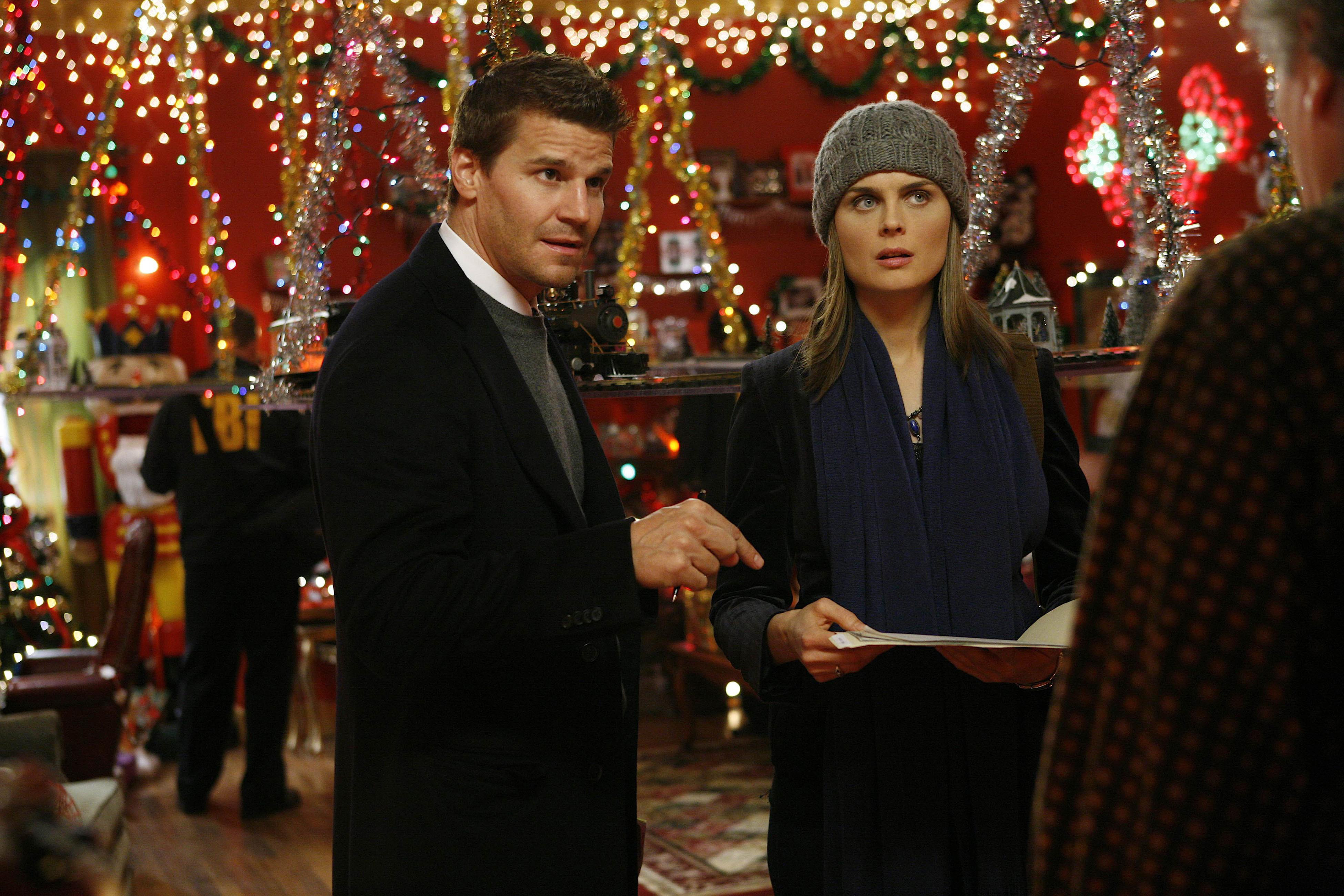 Download Seeley Booth David Boreanaz Emily Deschanel Temperance Brennan ...