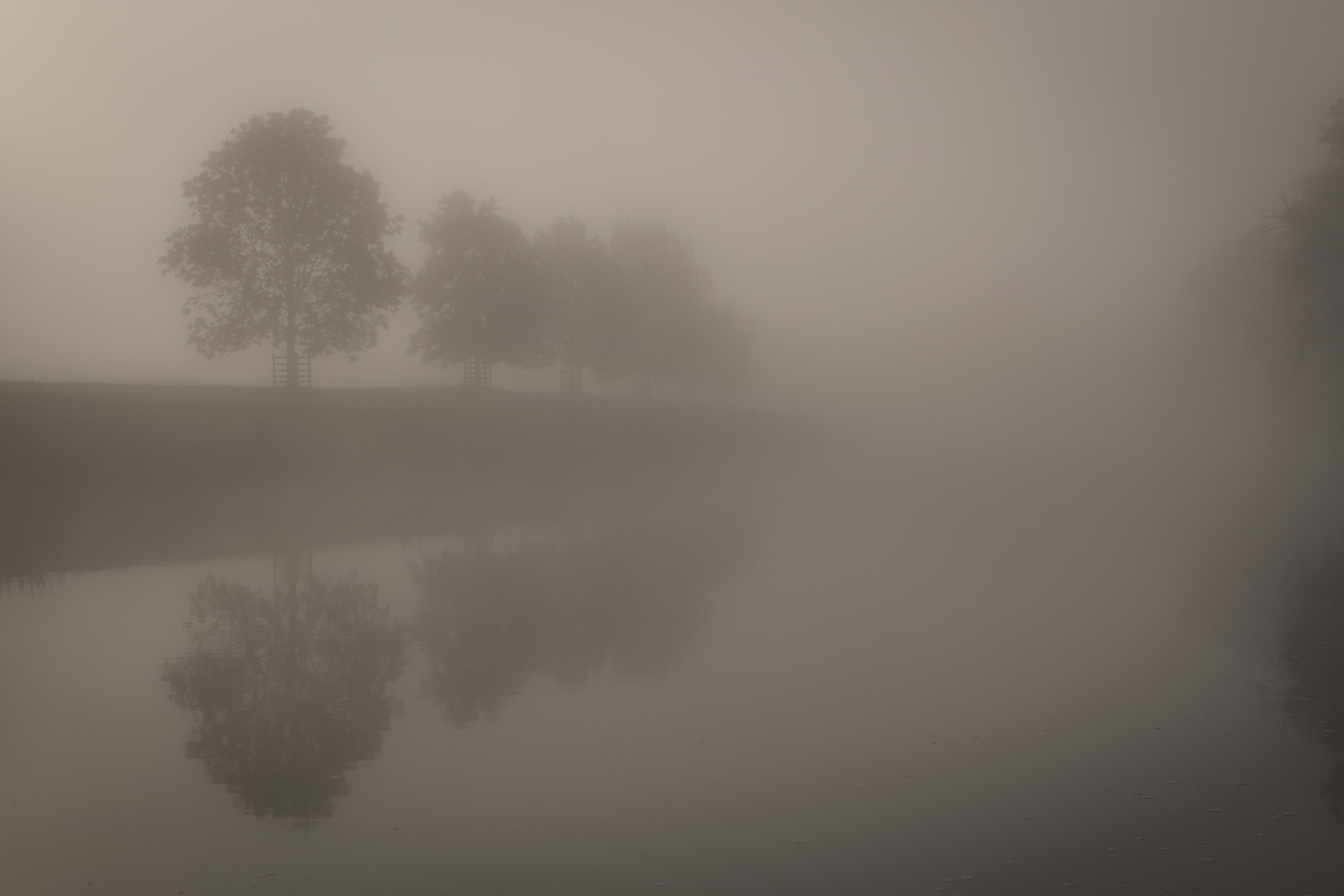Download Nature Fog 4k Ultra HD Wallpaper