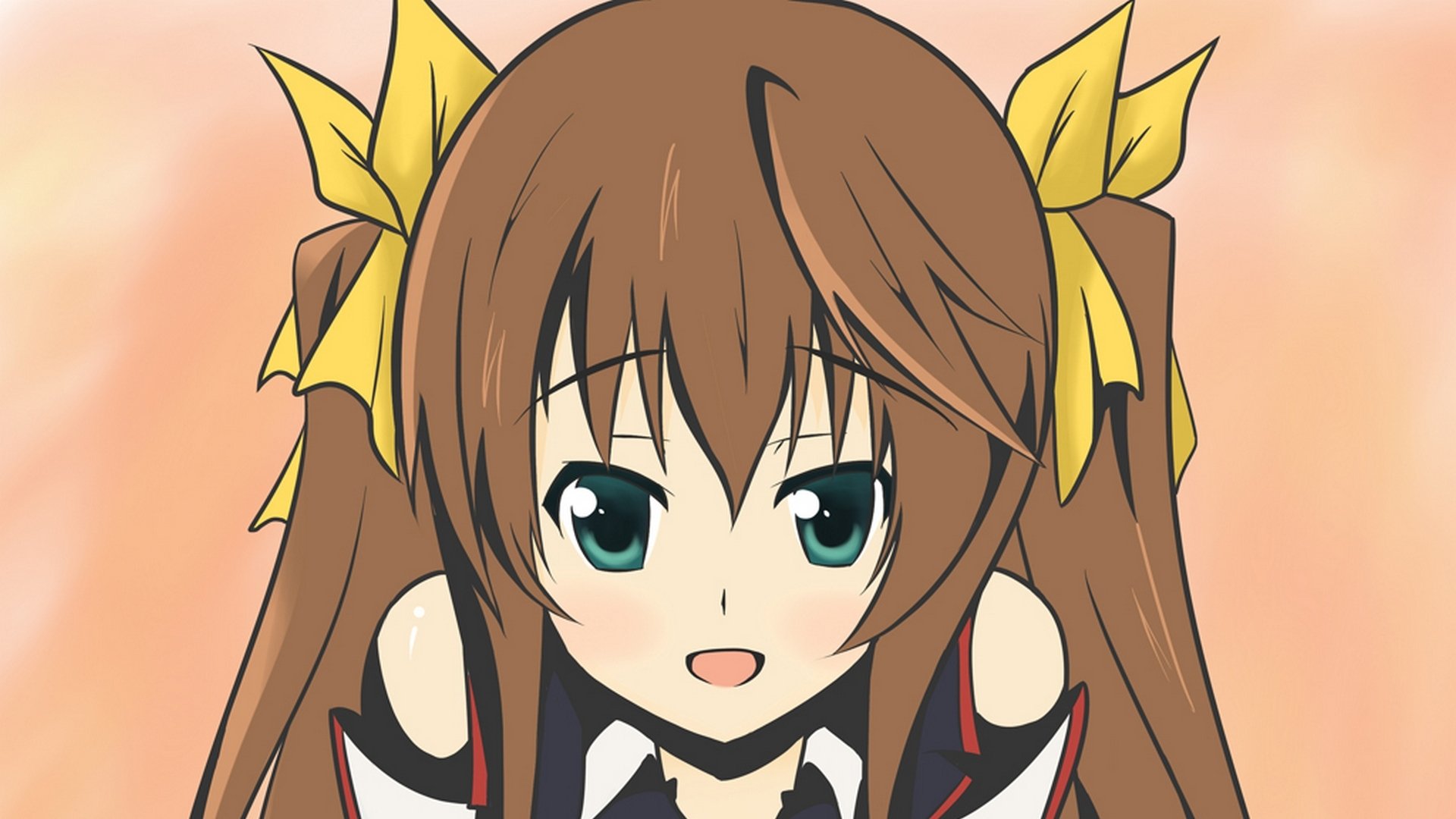 Download Anime Infinite Stratos HD Wallpaper