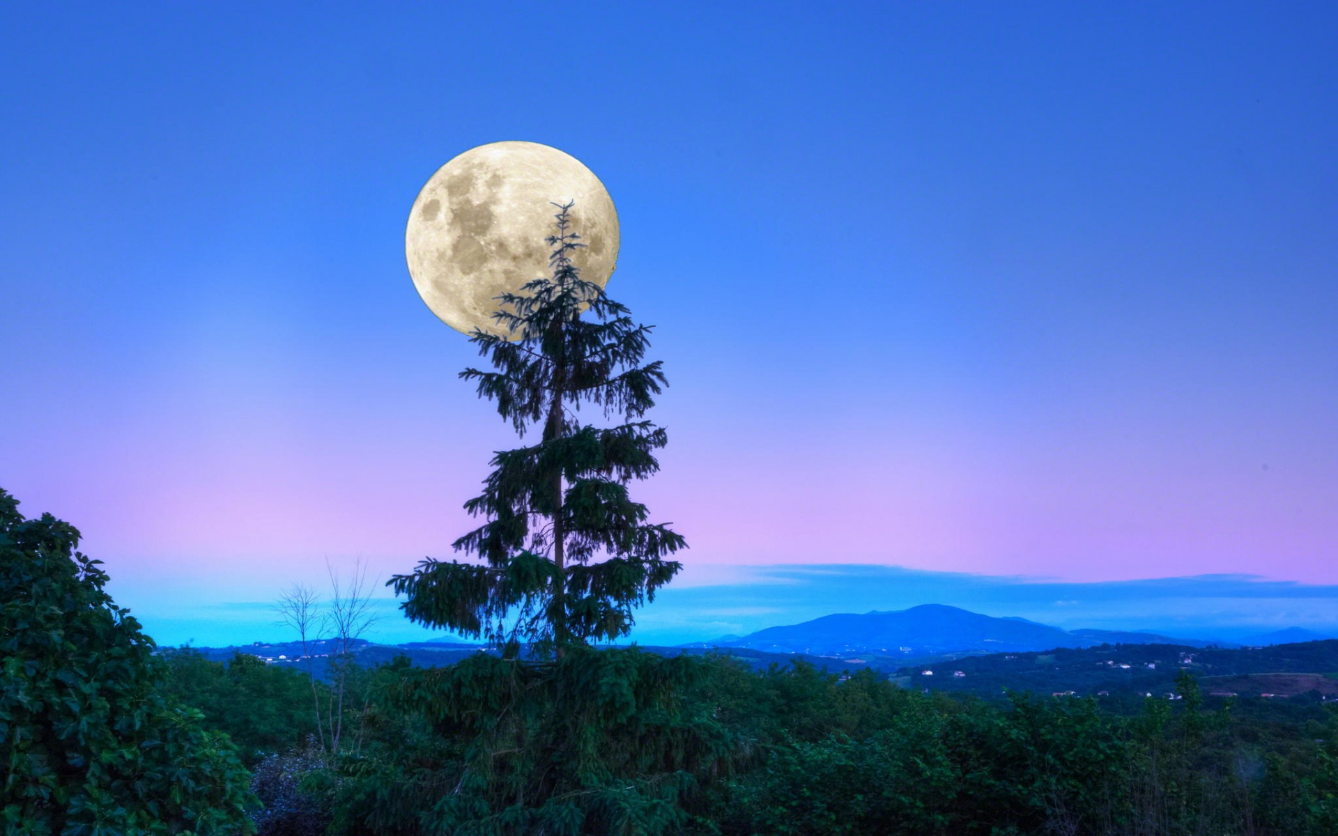 Download Nature Moon HD Wallpaper
