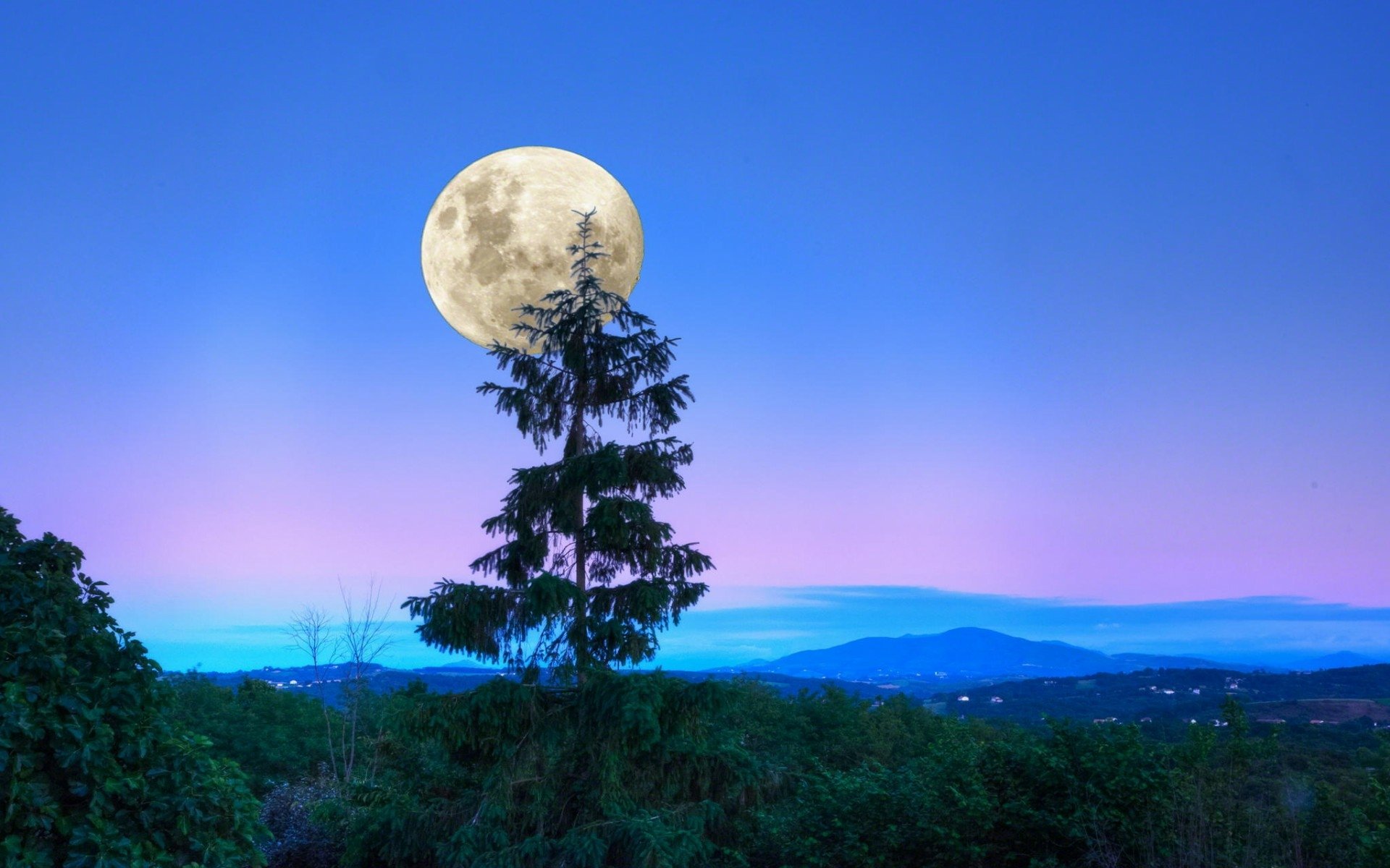 Download Nature Moon HD Wallpaper