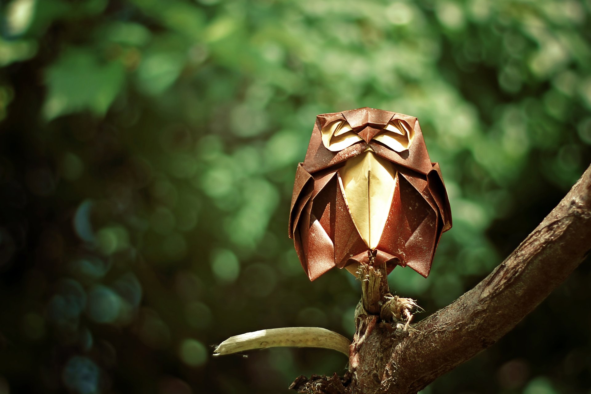 Origami Owl on Branch – Stunning 4K Ultra HD Wallpaper