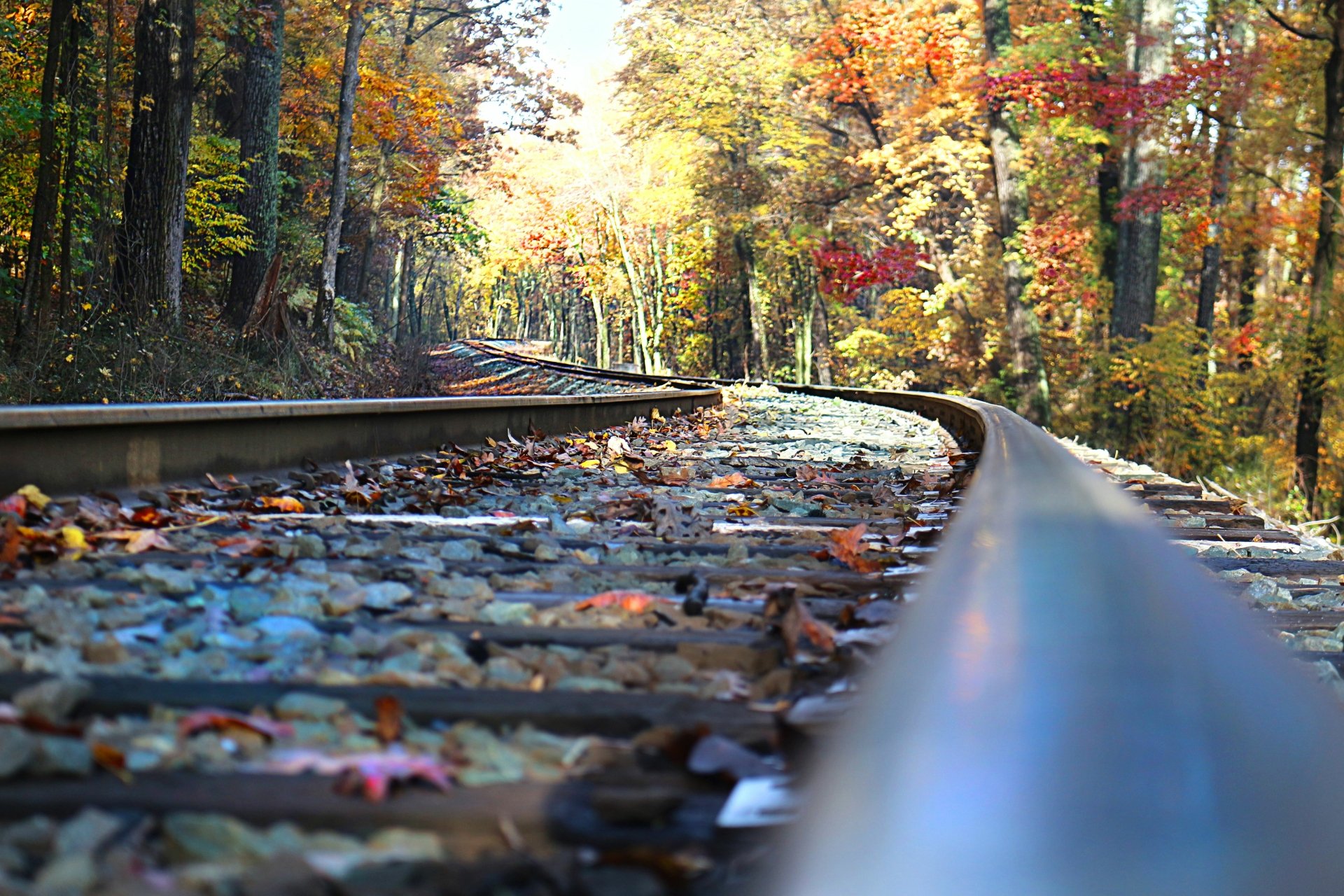 Download Tree Fall Man Made Railroad 4k Ultra HD Wallpaper
