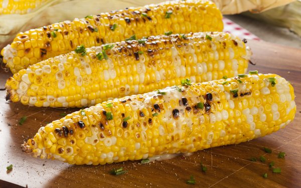 Corn 4k Ultra HD Wallpaper | Background Image | 6000x4000