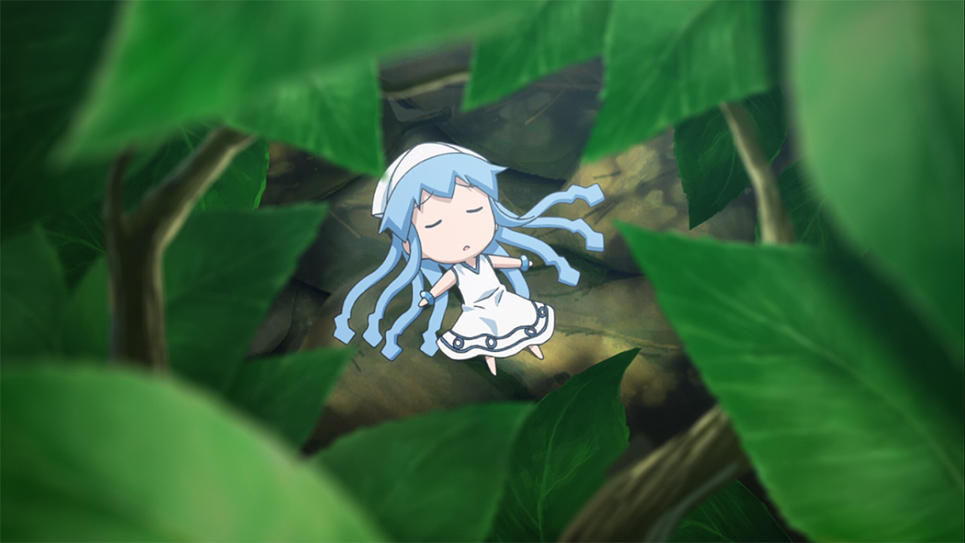 Download Ika Musume Anime Squid Girl HD Wallpaper