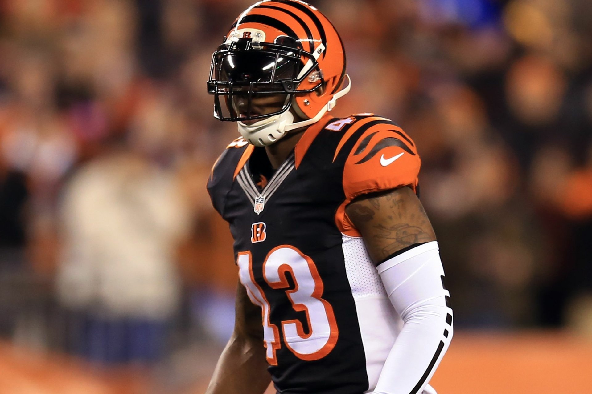 Download Cincinnati Bengals Sports HD Wallpaper