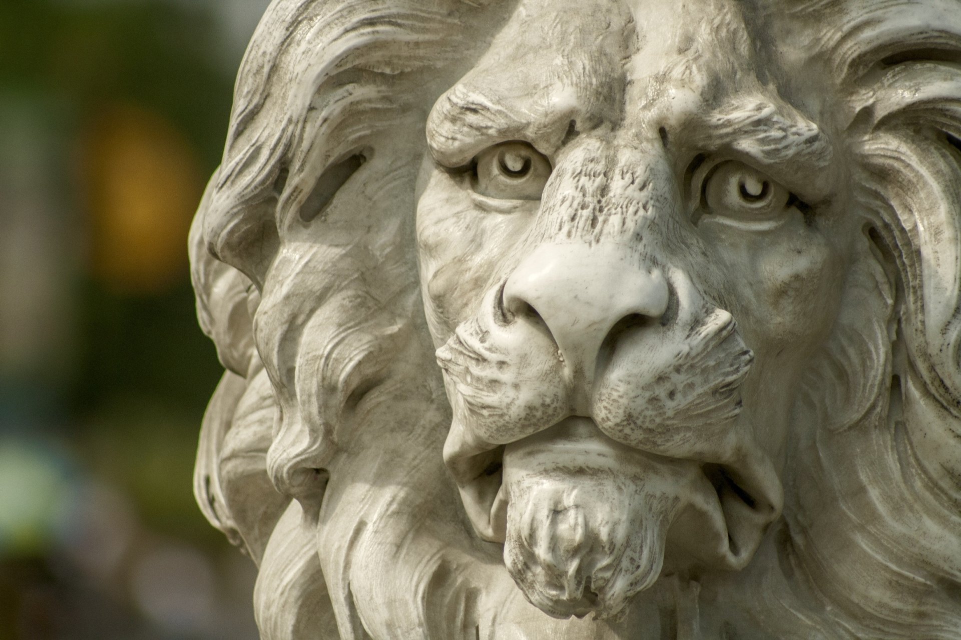 Download Close-up Lion Man Made Statue HD Wallpaper