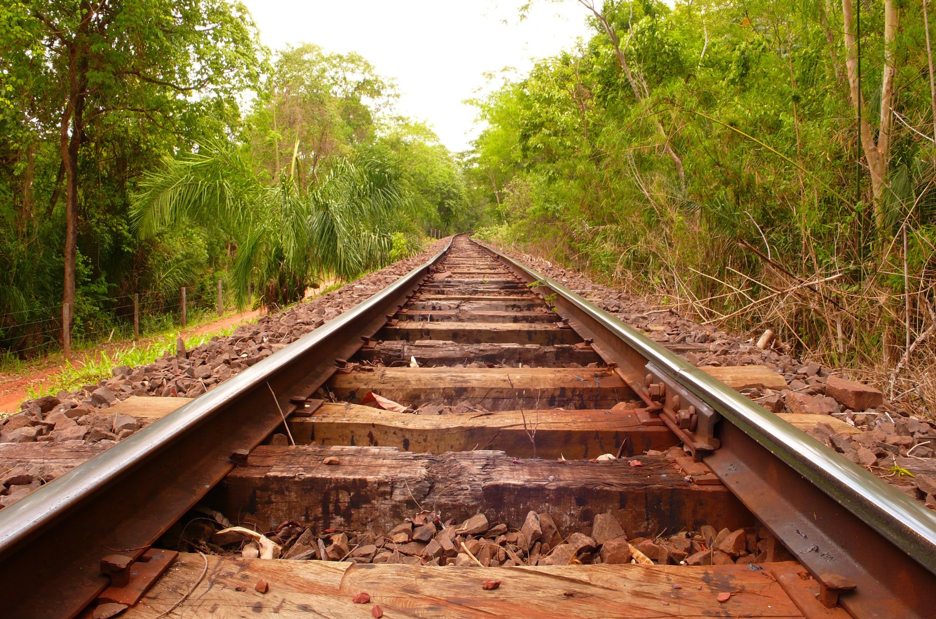 Nature’s Path: Man-Made Railroad Through Lush Trees – HD Wallpaper