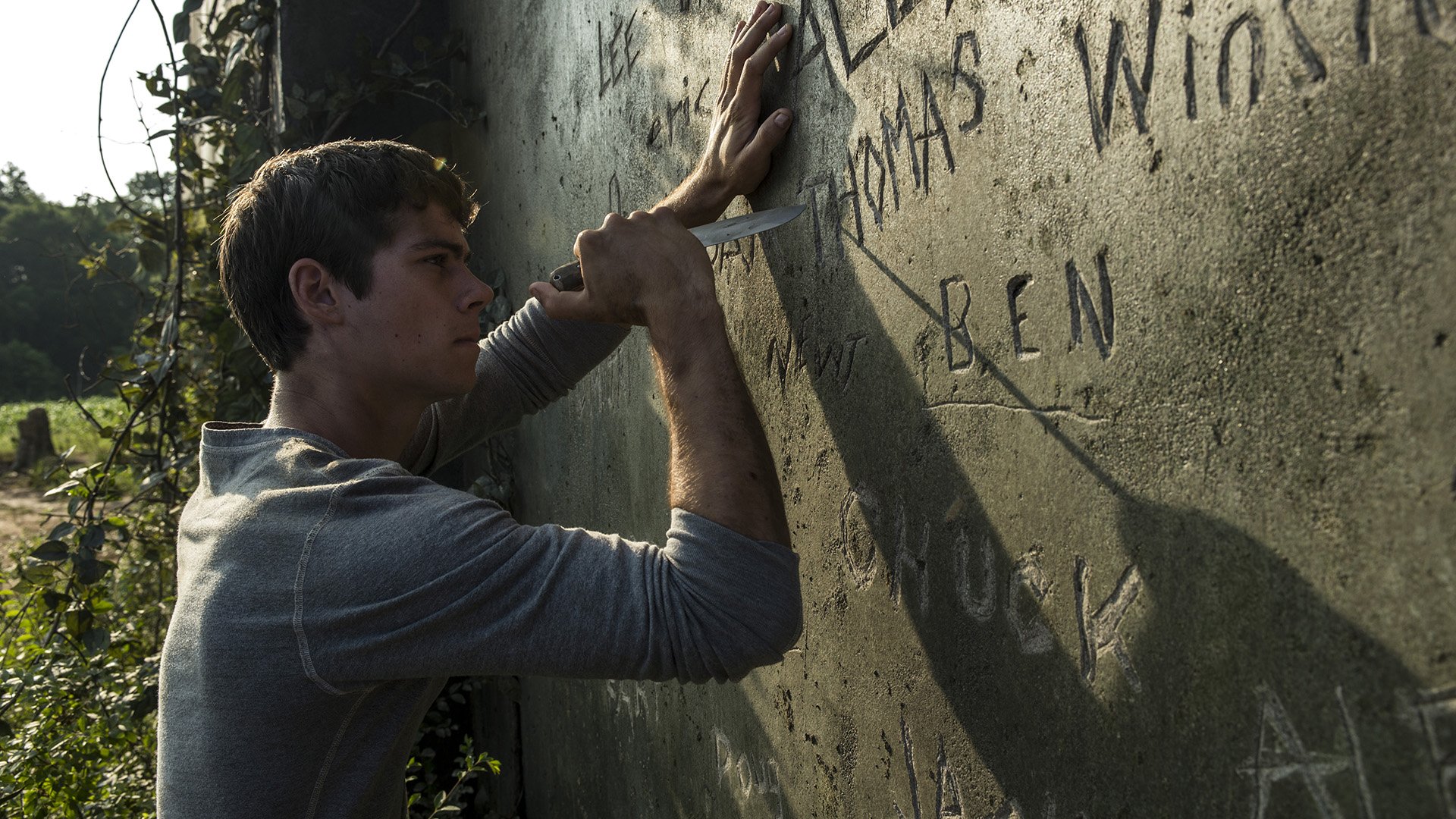 Download Movie The Maze Runner HD Wallpaper