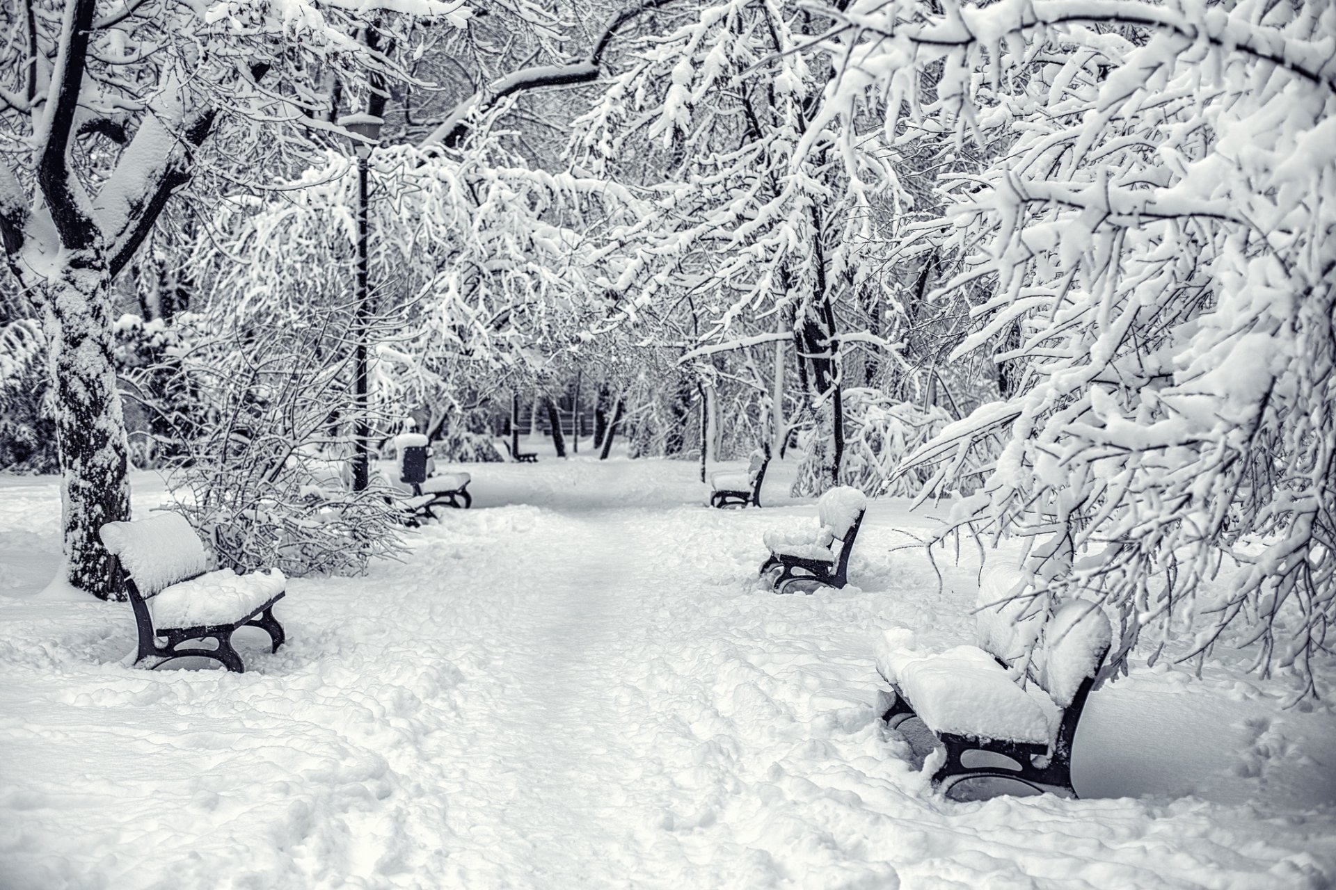 Winter Serenity: Snow-Covered Park Benches in HD by Cosmin Anghel