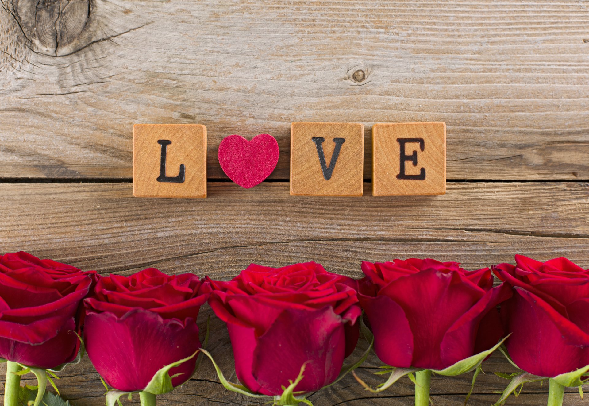 Love in Bloom: A 4K Ultra HD Rose Wallpaper | 5574x3840 | Wallpaper Abyss