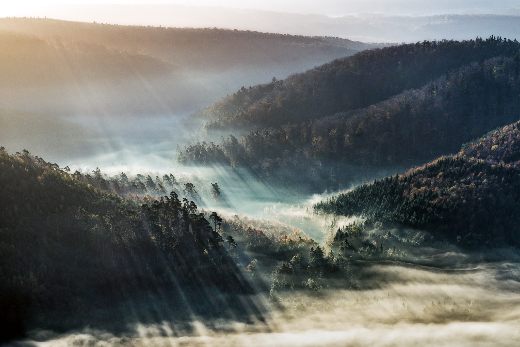 Download Sunbeam Landscape Valley Forest Nature Fog HD Wallpaper