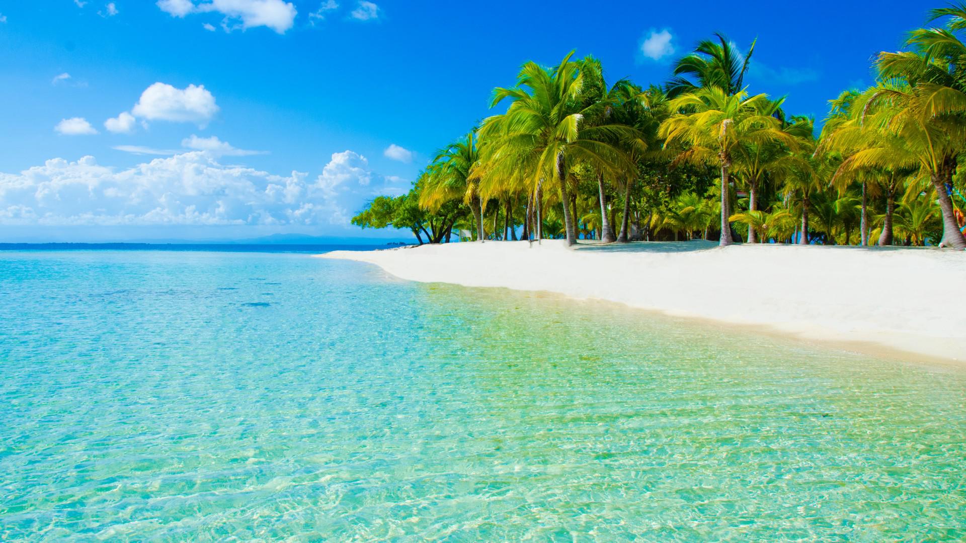 Download Blue Ocean Palm Tree Tree Sand Tropics Tropical Nature Island ...