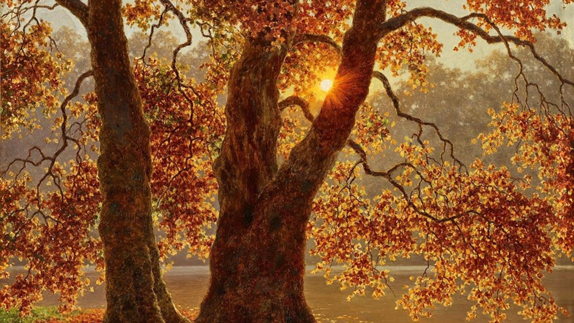 Download Sunset Fall Nature Tree HD Wallpaper