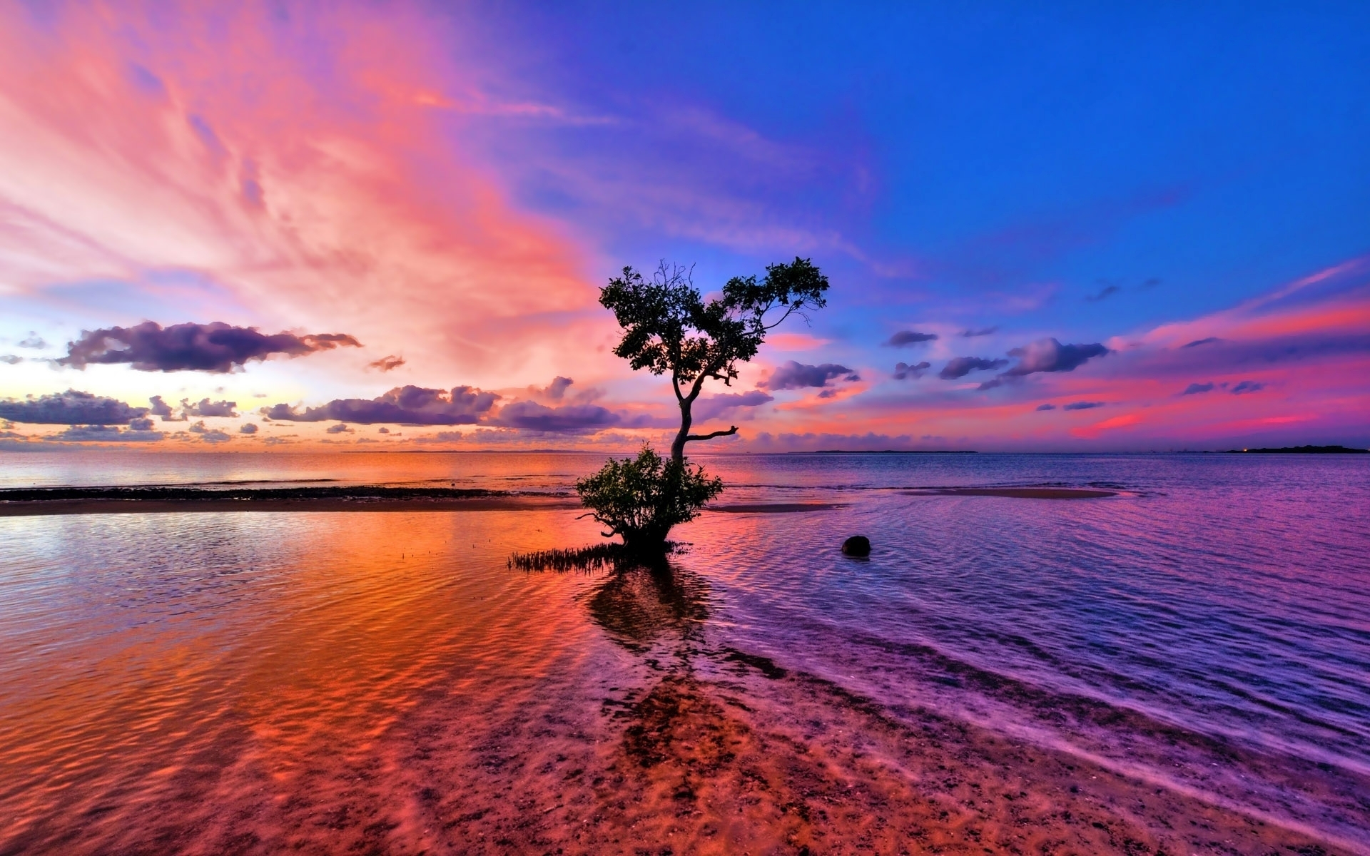 Download Nature Horizon Ocean Blue Purple Pink Sky Tree Sunset HD Wallpaper