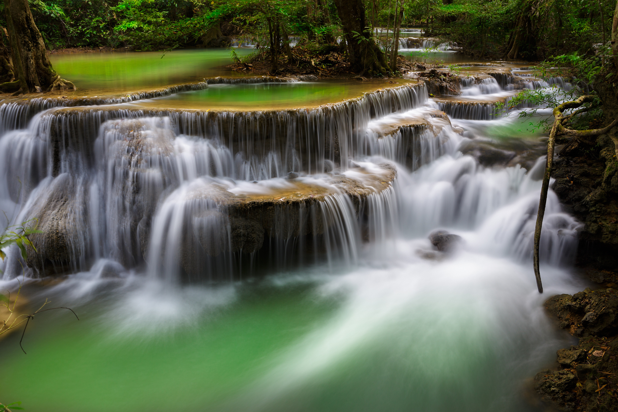 Water Cascades in Forest