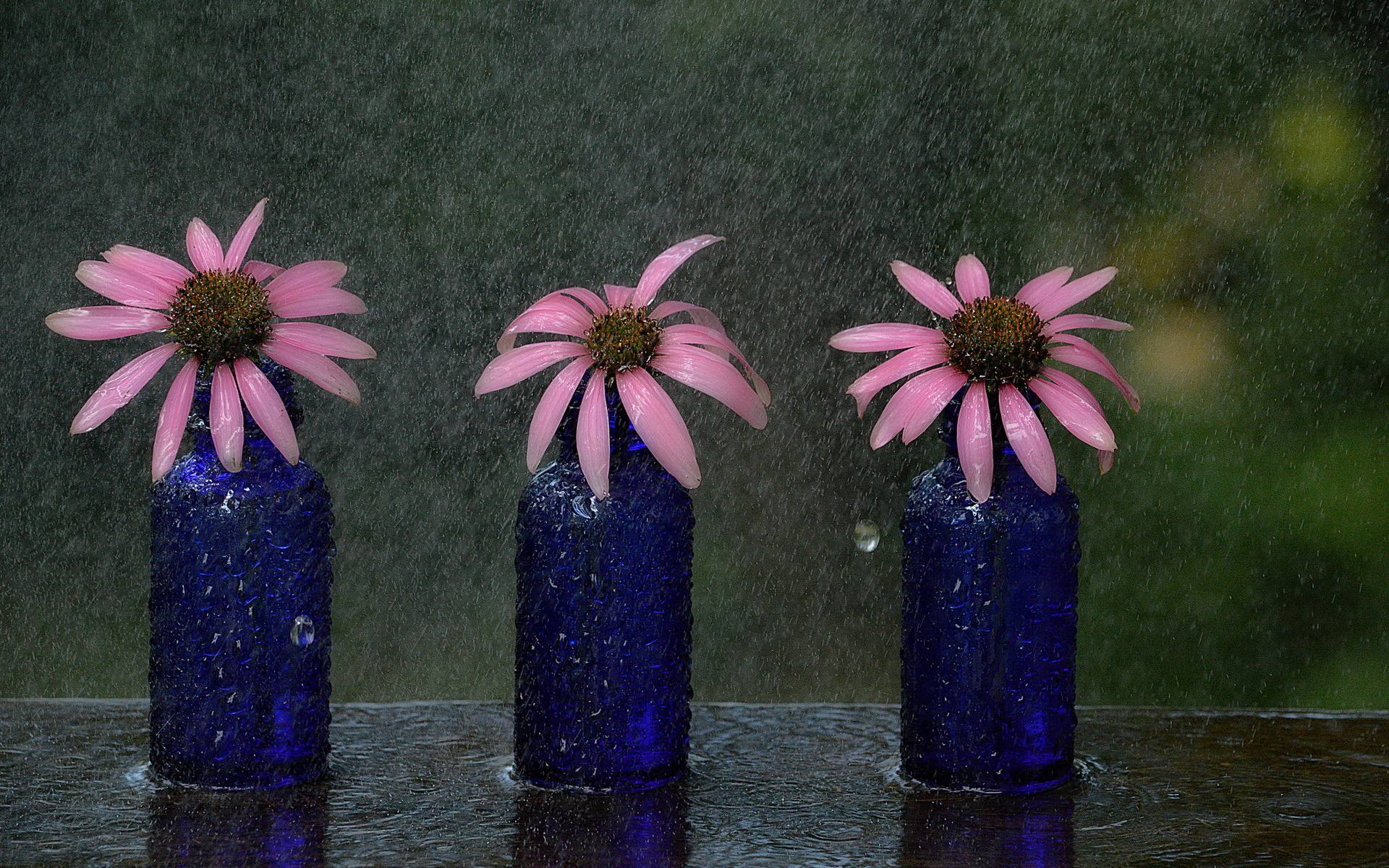 Download Purple Flower Blue Vase Daisy Rain Man Made Flower HD Wallpaper