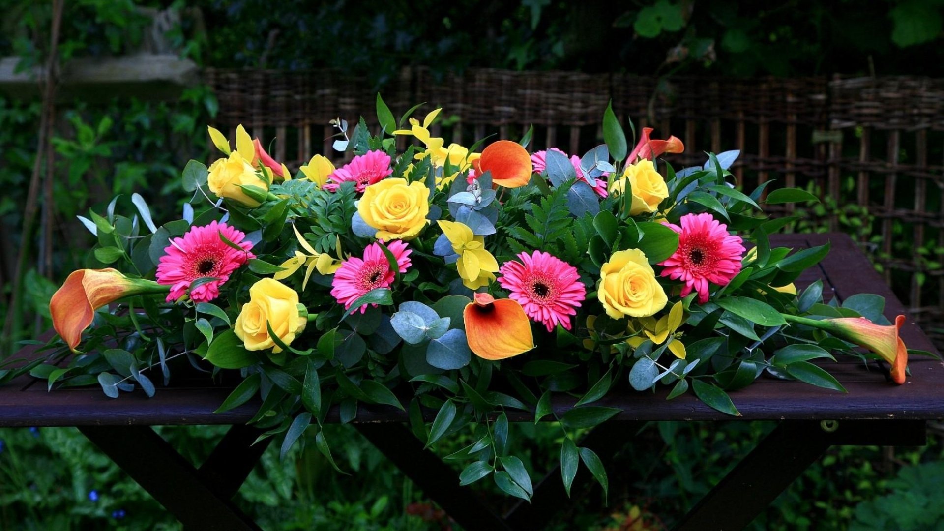 Beautiful Colorful Spring Flowers Desktop Wallpaper