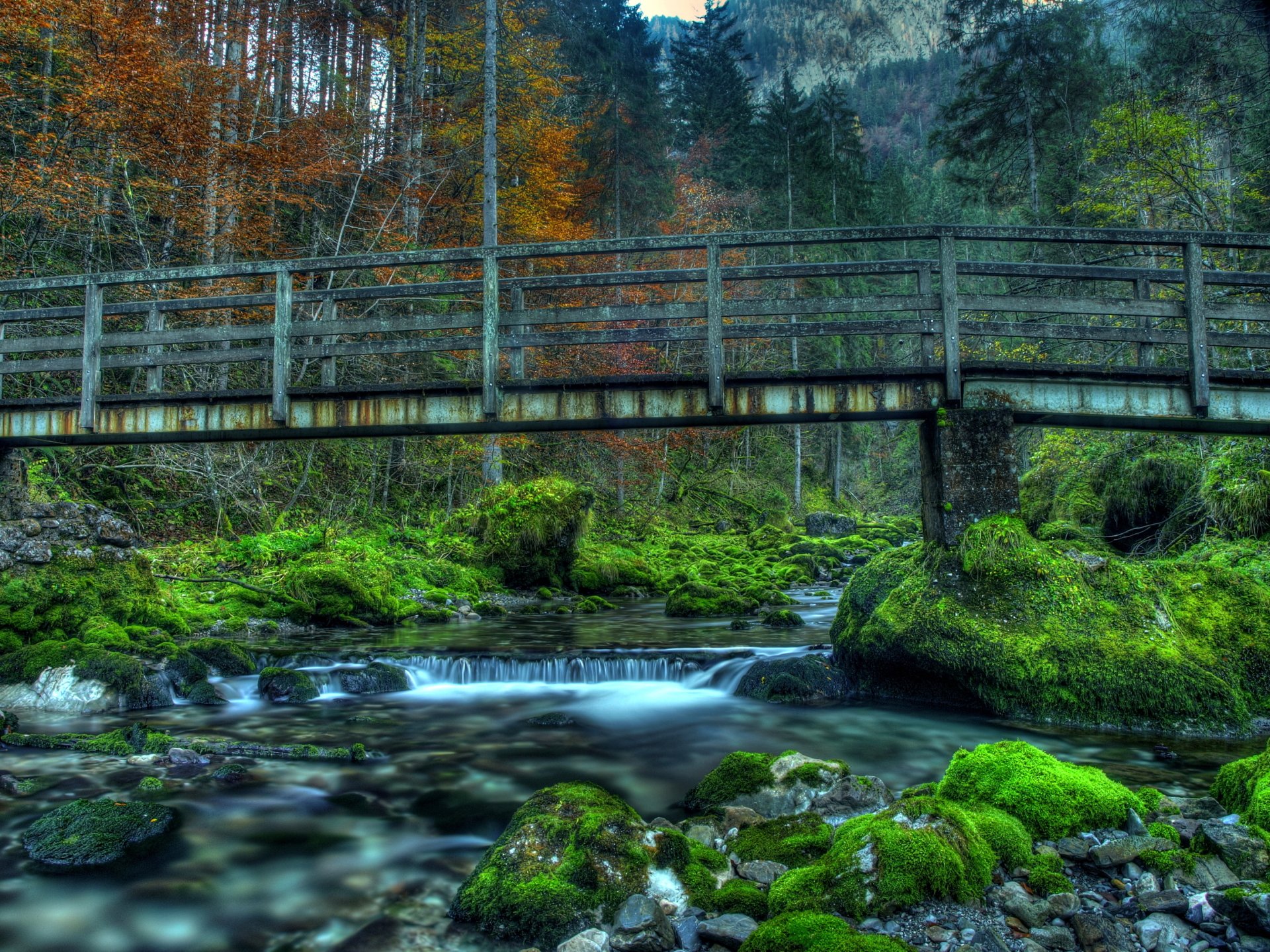 Bridge In Forest Hd