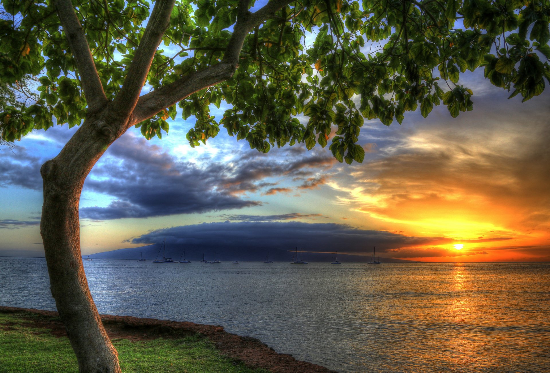 Download HDR Tree Lake Earth Photography Sunset HD Wallpaper