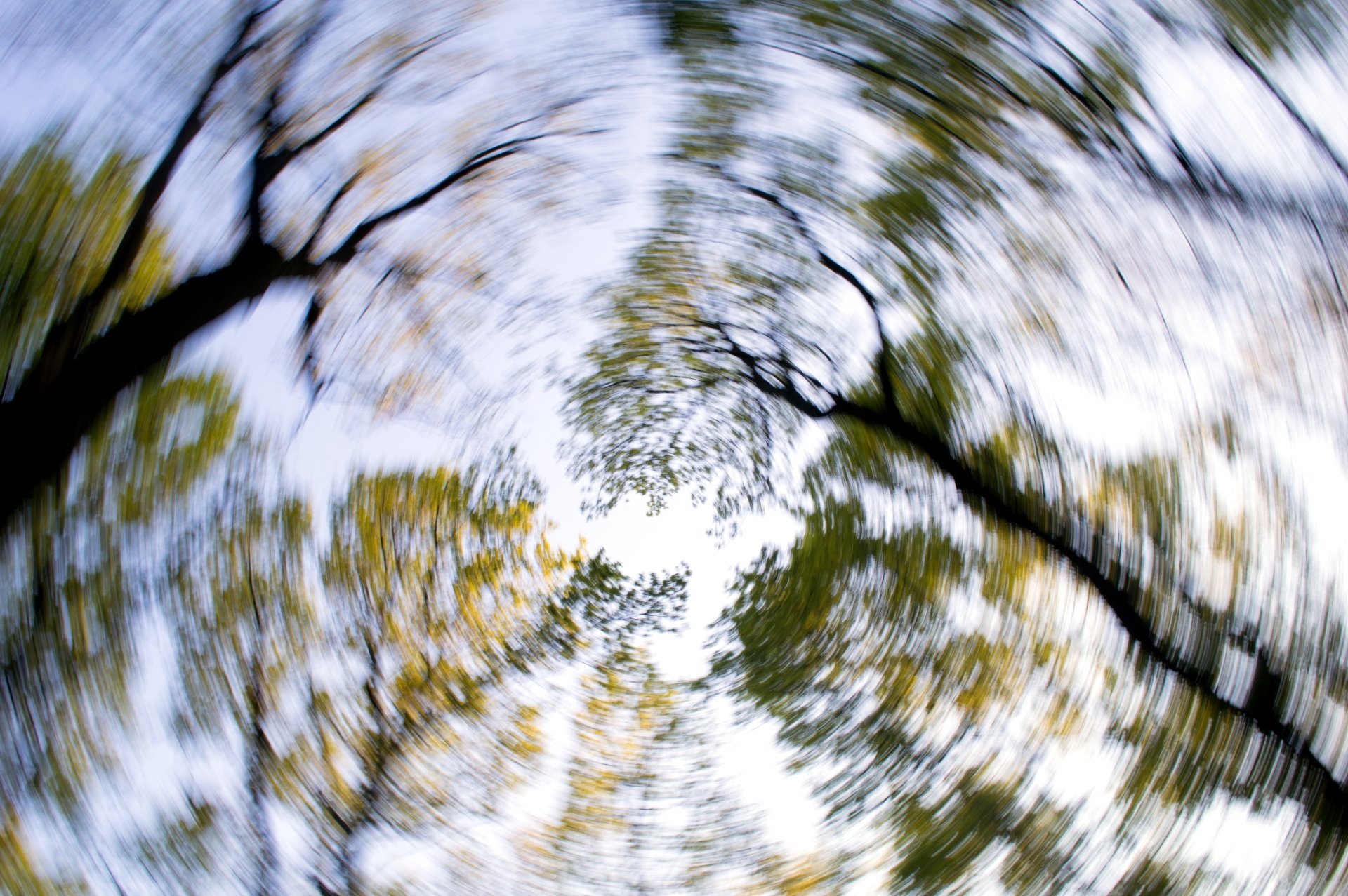 Spinning Branches: Surreal 4K Nature Blur on Earth’s Sky Canvas by Felix_Hu