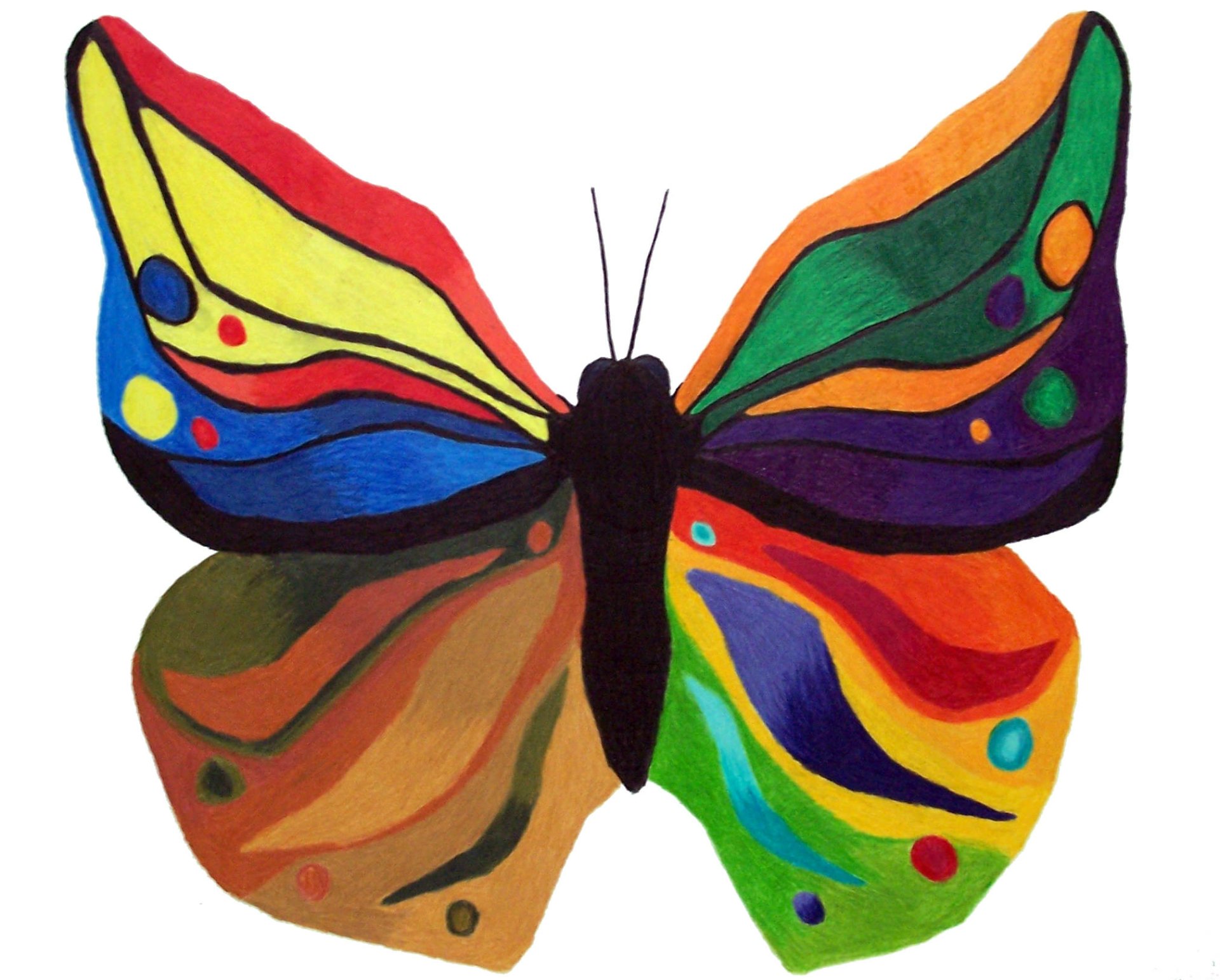 Download Colorful Colors Artistic Butterfly HD Wallpaper