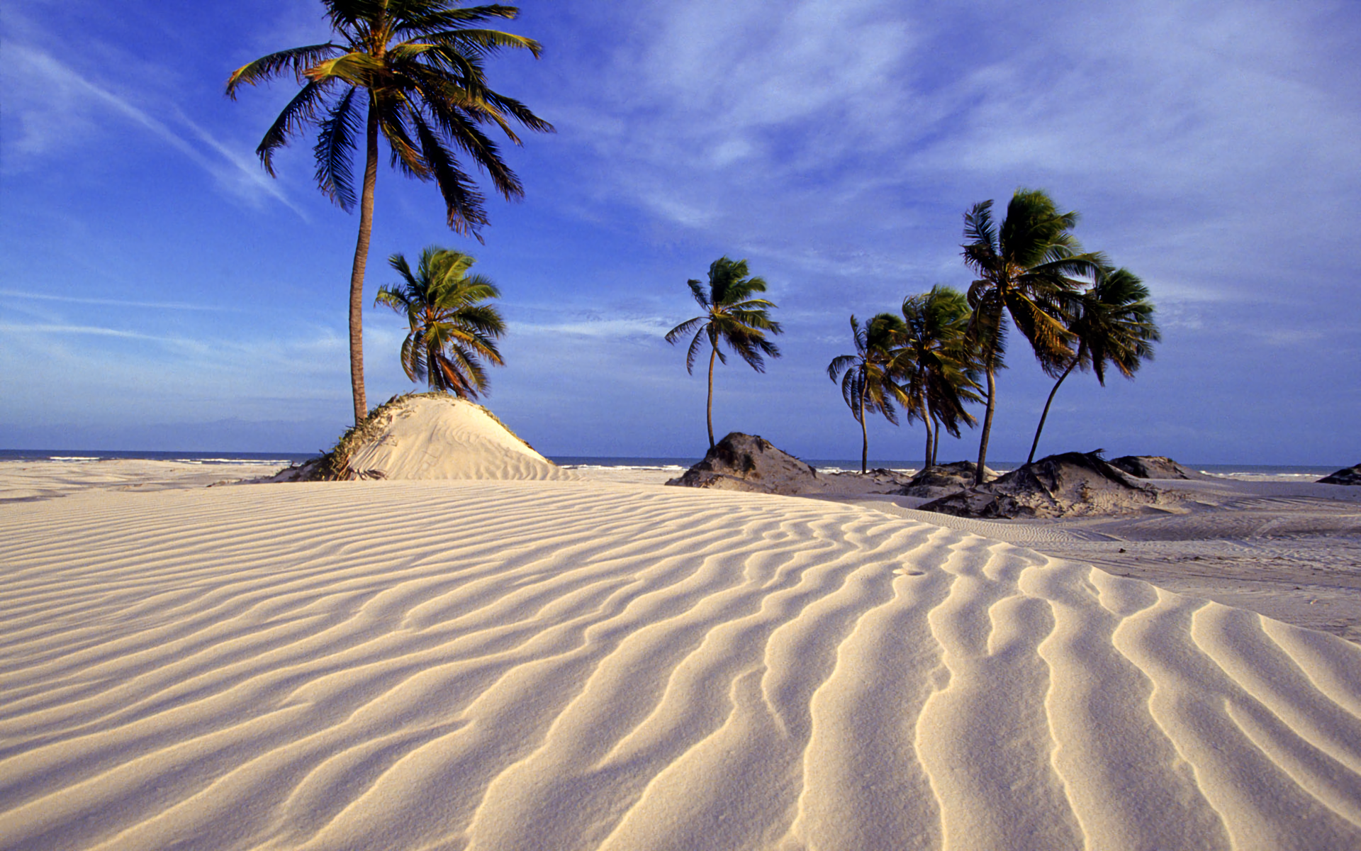 Download Sand Beach Tree Nature Palm Tree HD Wallpaper