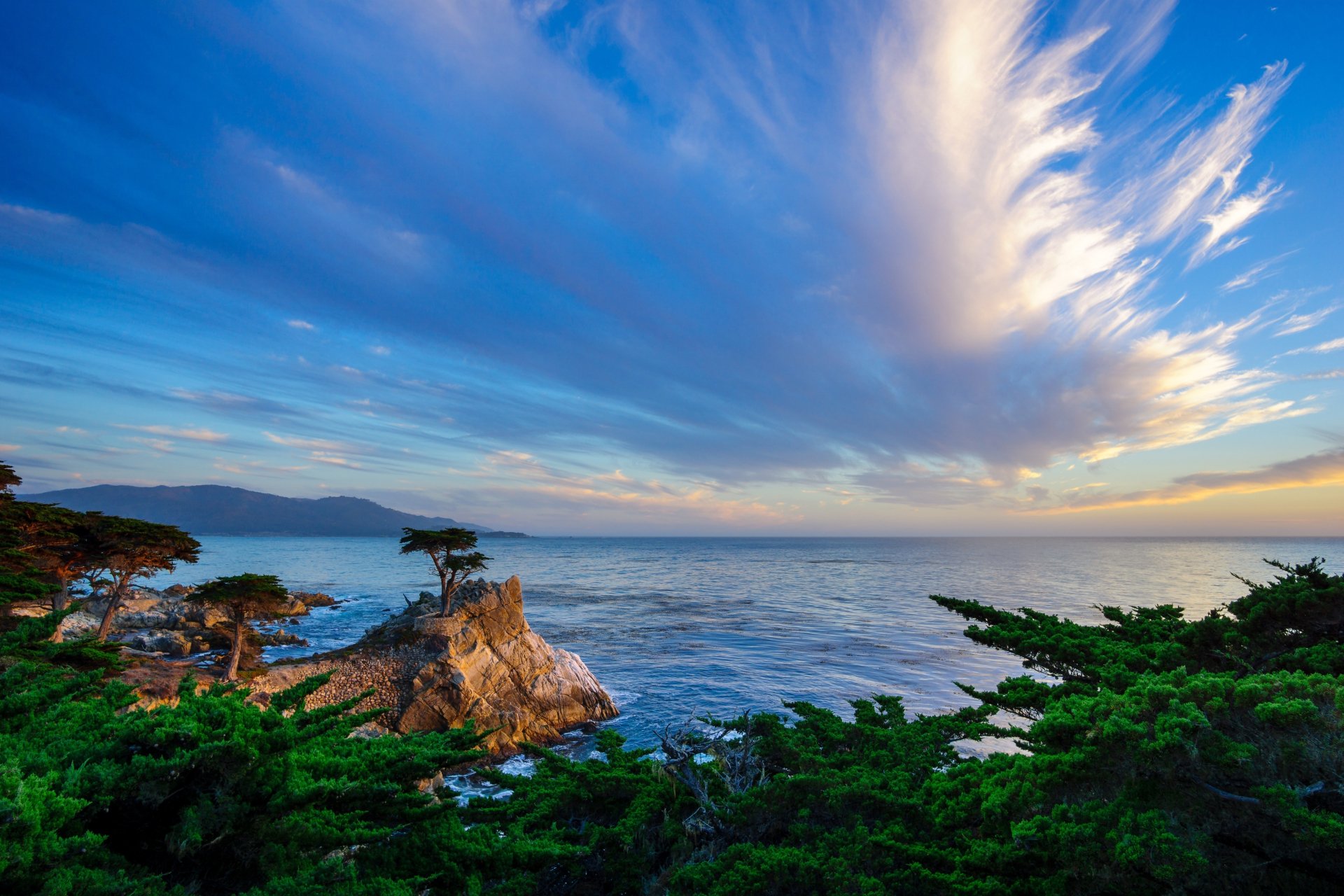 Download Sea Ocean Tree Nature Coastline 4k Ultra HD Wallpaper ...