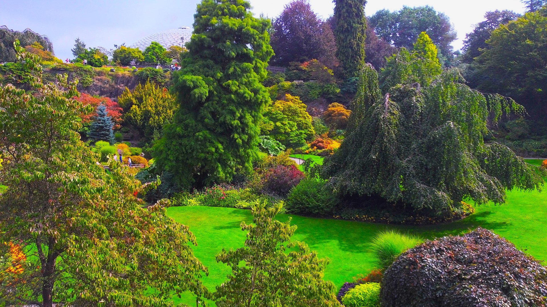 **Queen Elizabeth Gardens: A Stunning HD Wallpaper of Man-Made Beauty ...