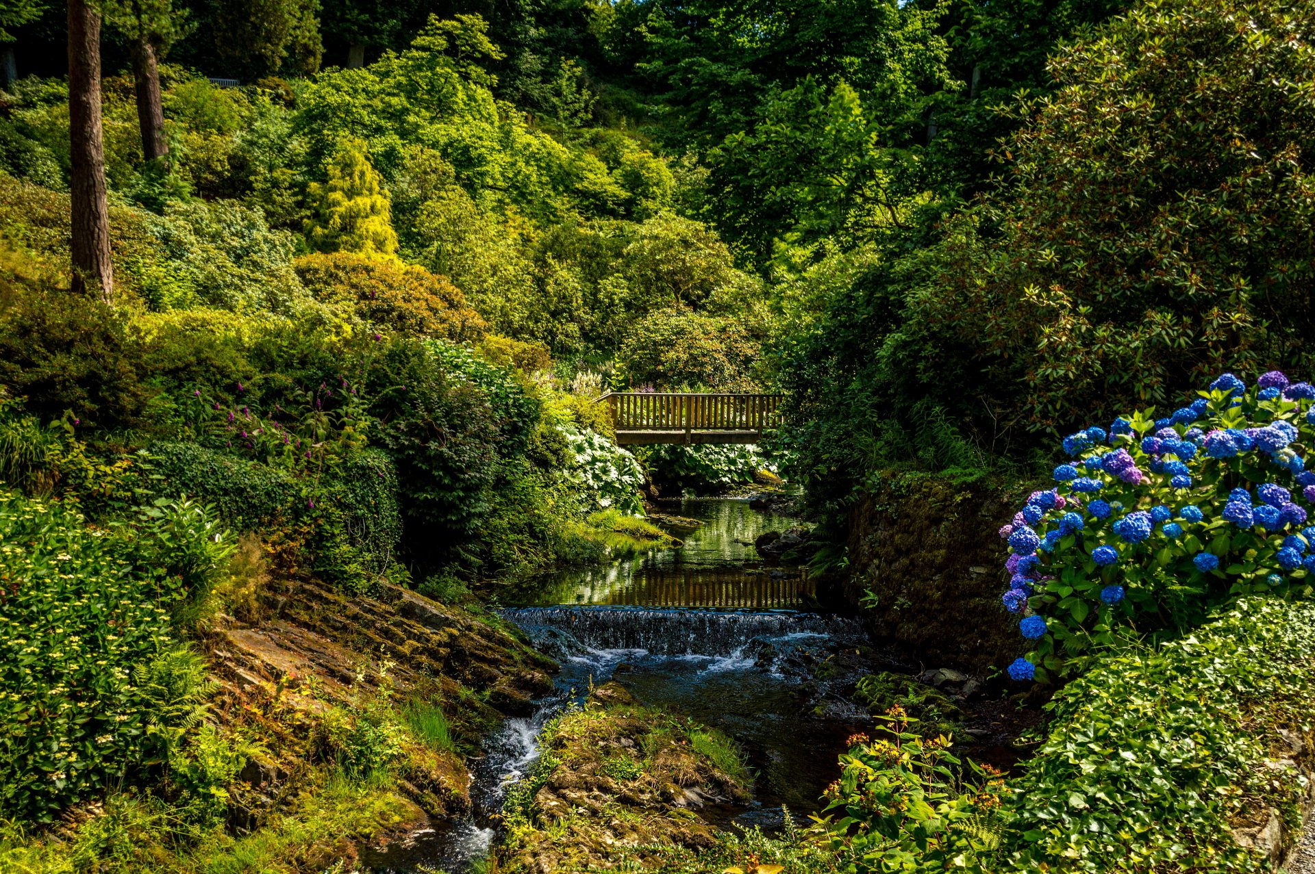 Spring Serenity: 4K Ultra HD Bridge Amidst Blossoming Greenery in a ...