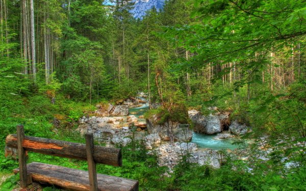 Bench in Spring Forest Wallpaper and Background Image | 1600x1200 | ID ...