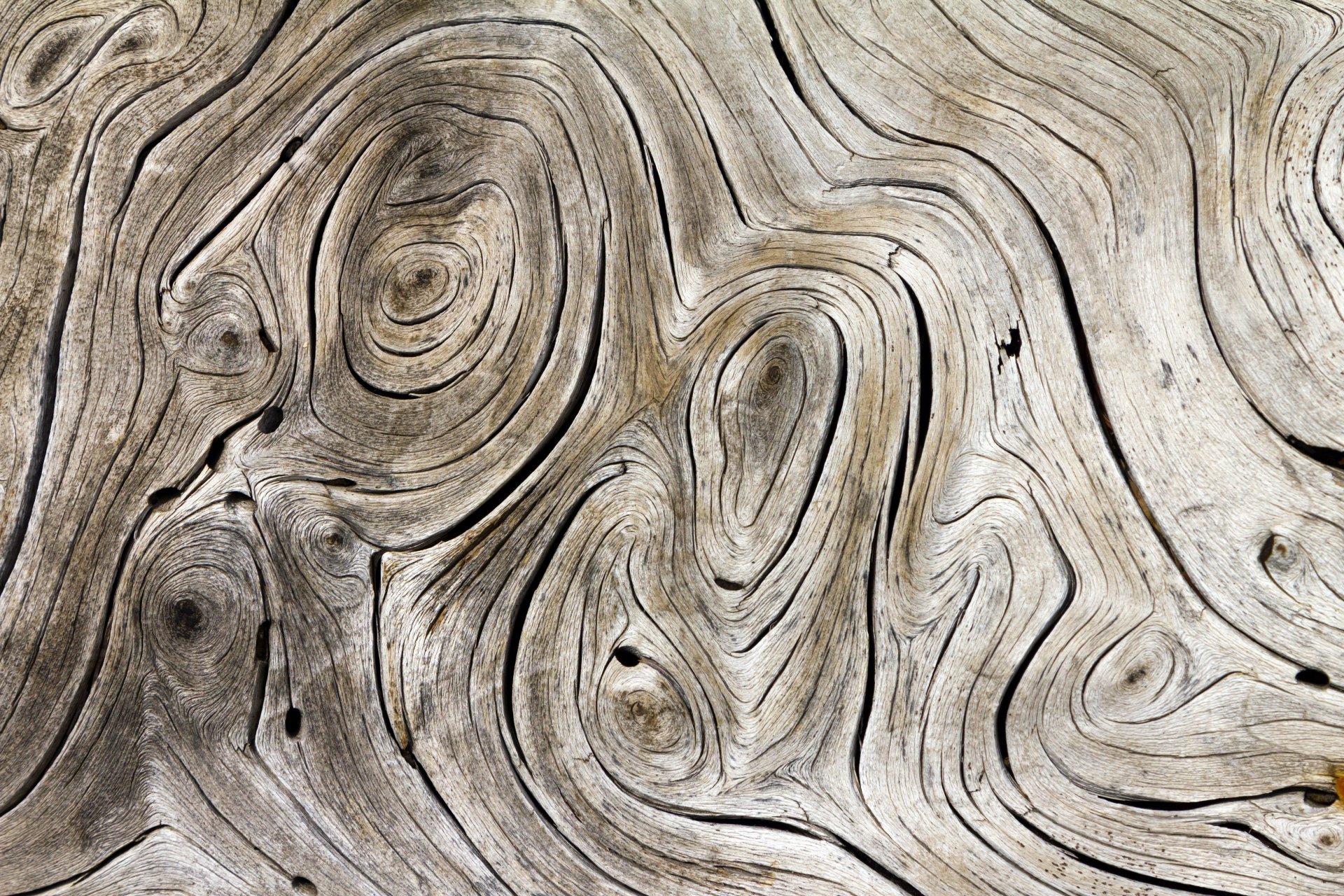 4K Ultra HD Abstract Wood Texture: Natural Grain Artistry