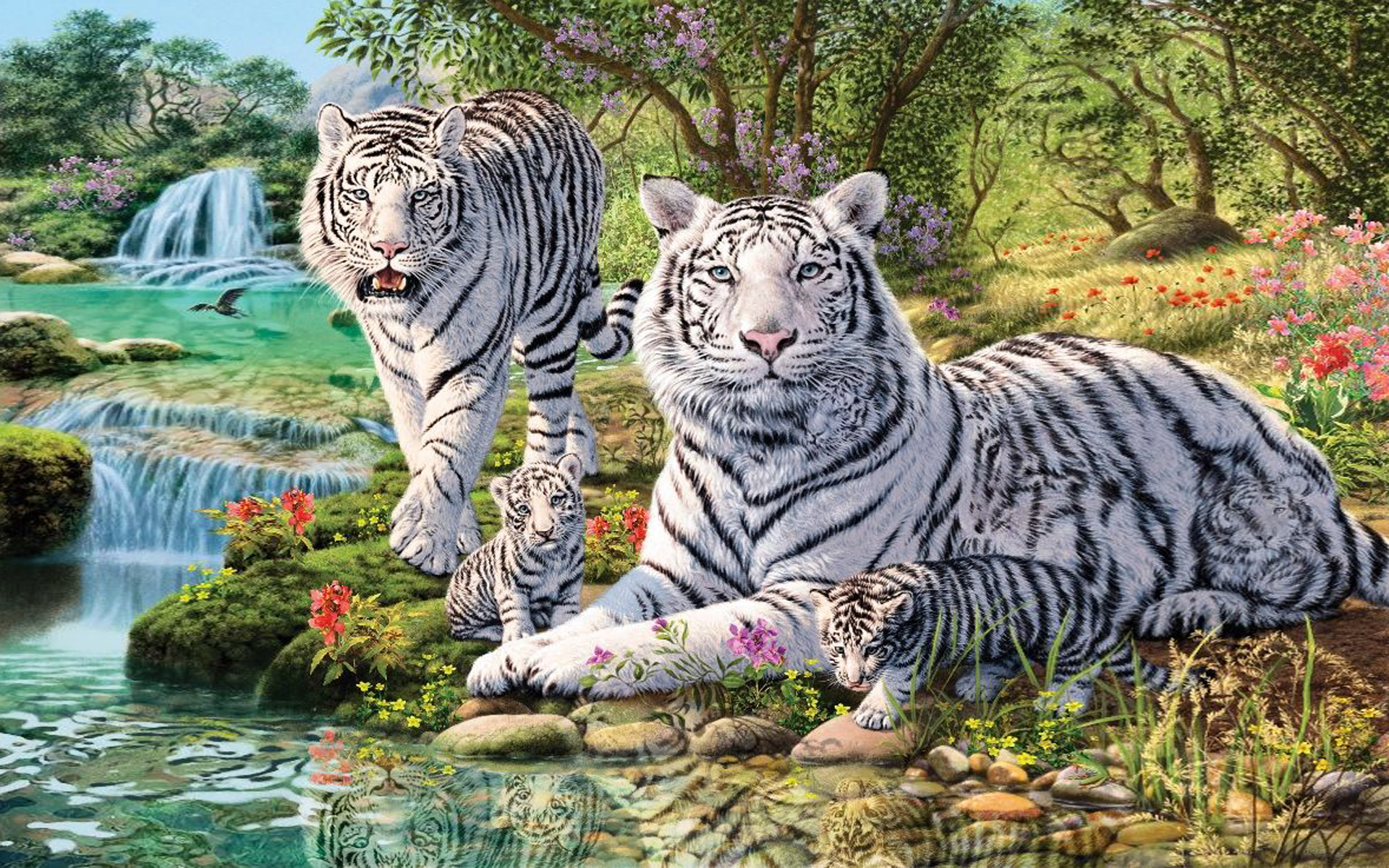 White Tigers And Waterfalls HD Wallpaper White Tigers And Waterfalls HD Wallpaper