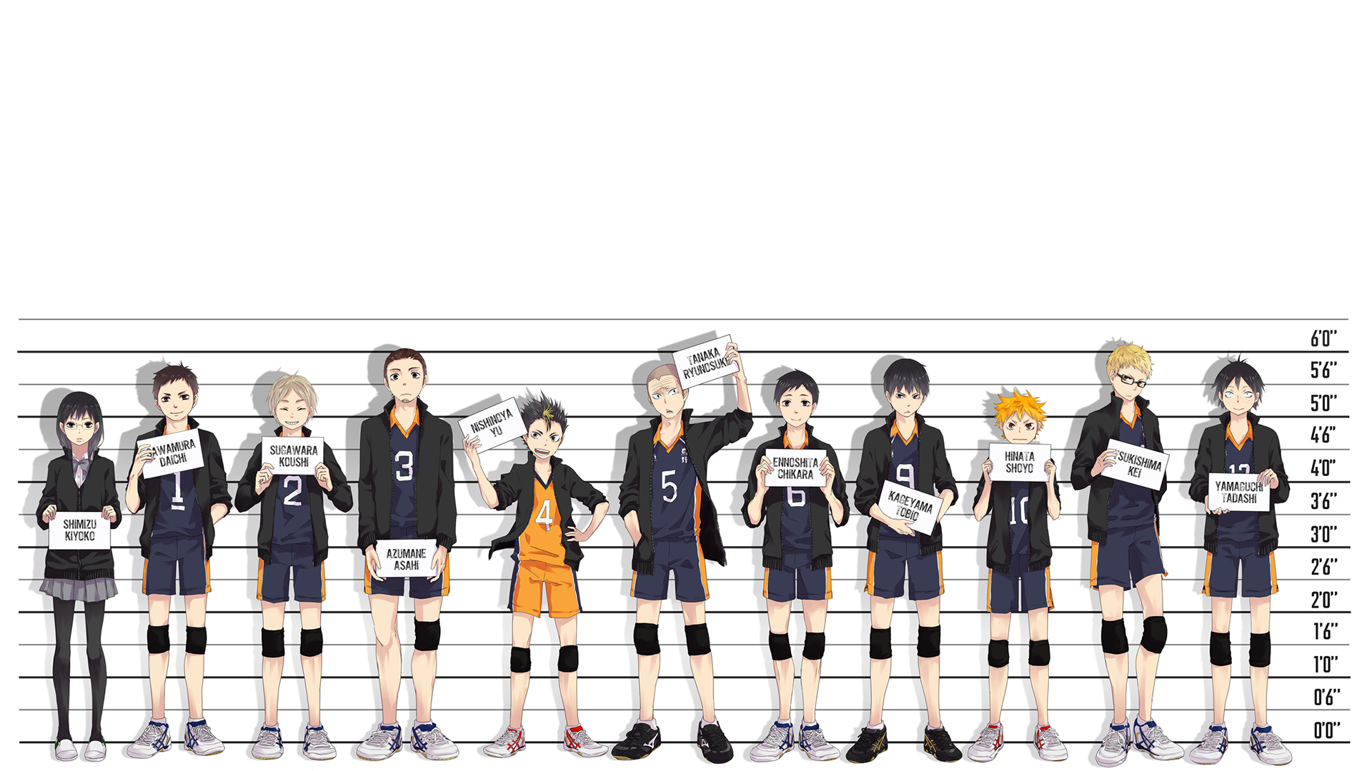 Haikyū!! Team Lineup - HD Anime Wallpaper