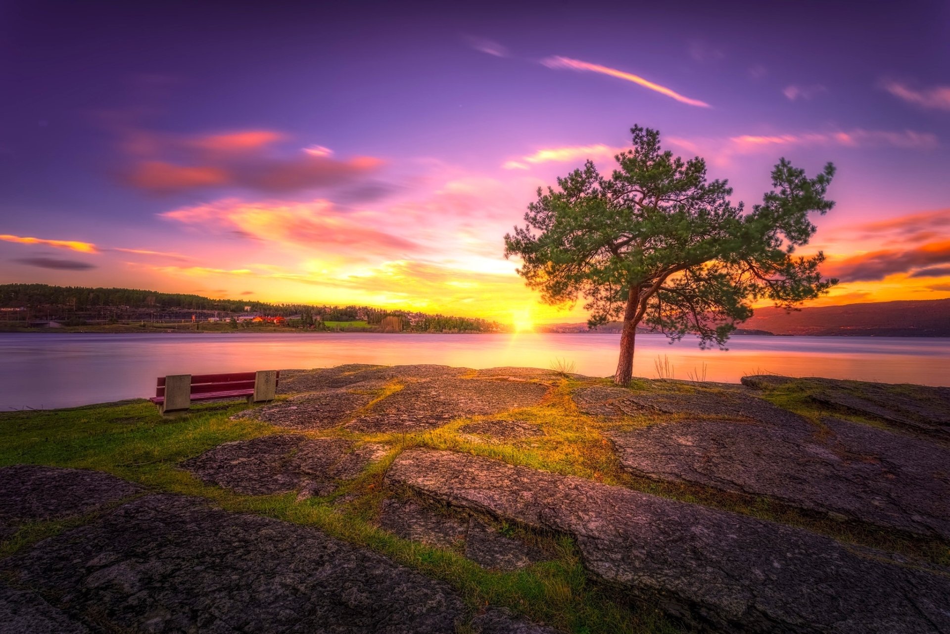 Lakeside HDR Sunset: Lone Tree & Bench — HD Wallpaper | 2048x1367 ...