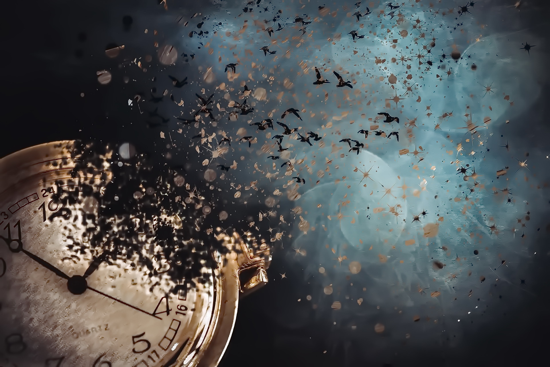 Download Bird Clock Photography Manipulation HD Wallpaper