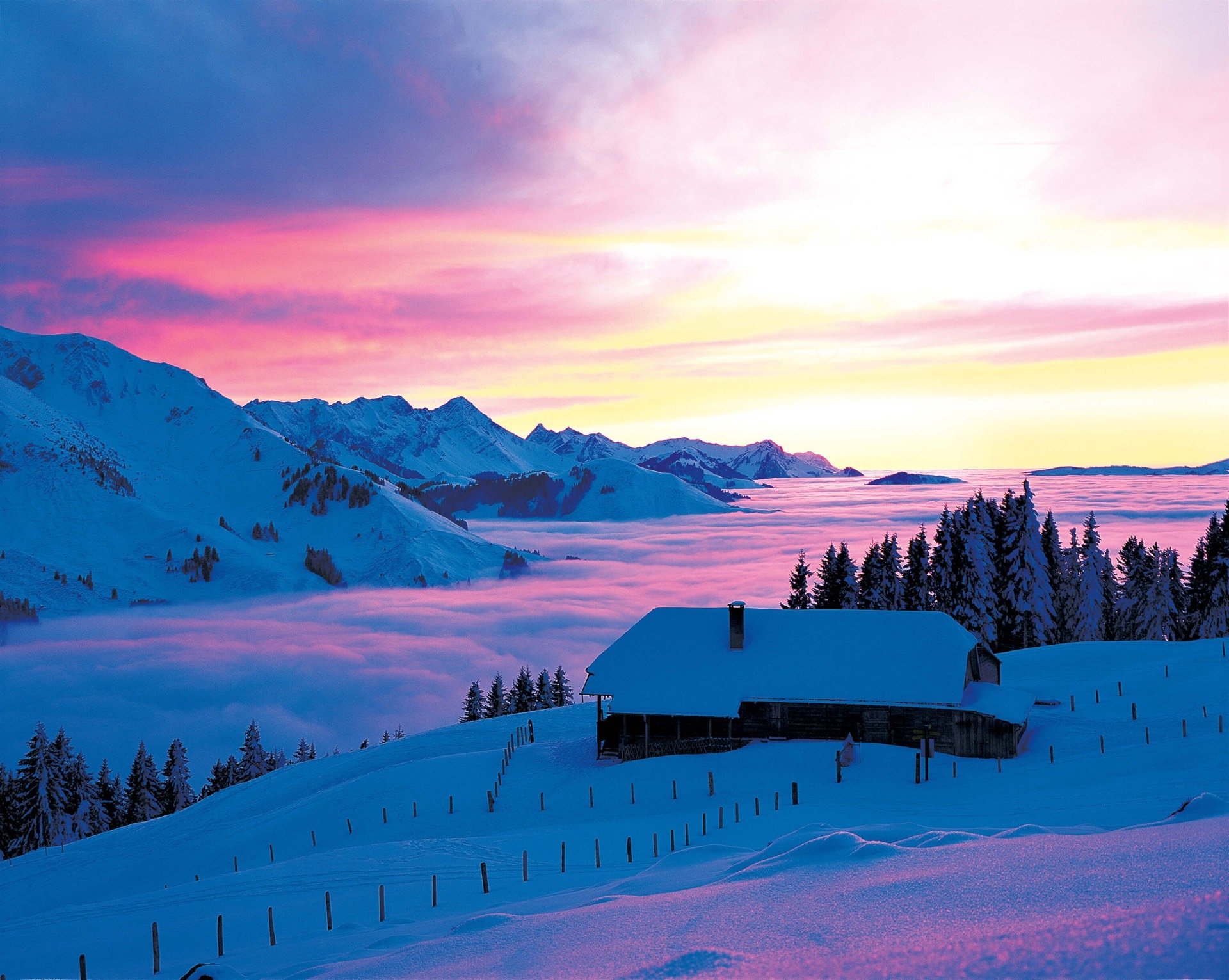 Winter Sunset