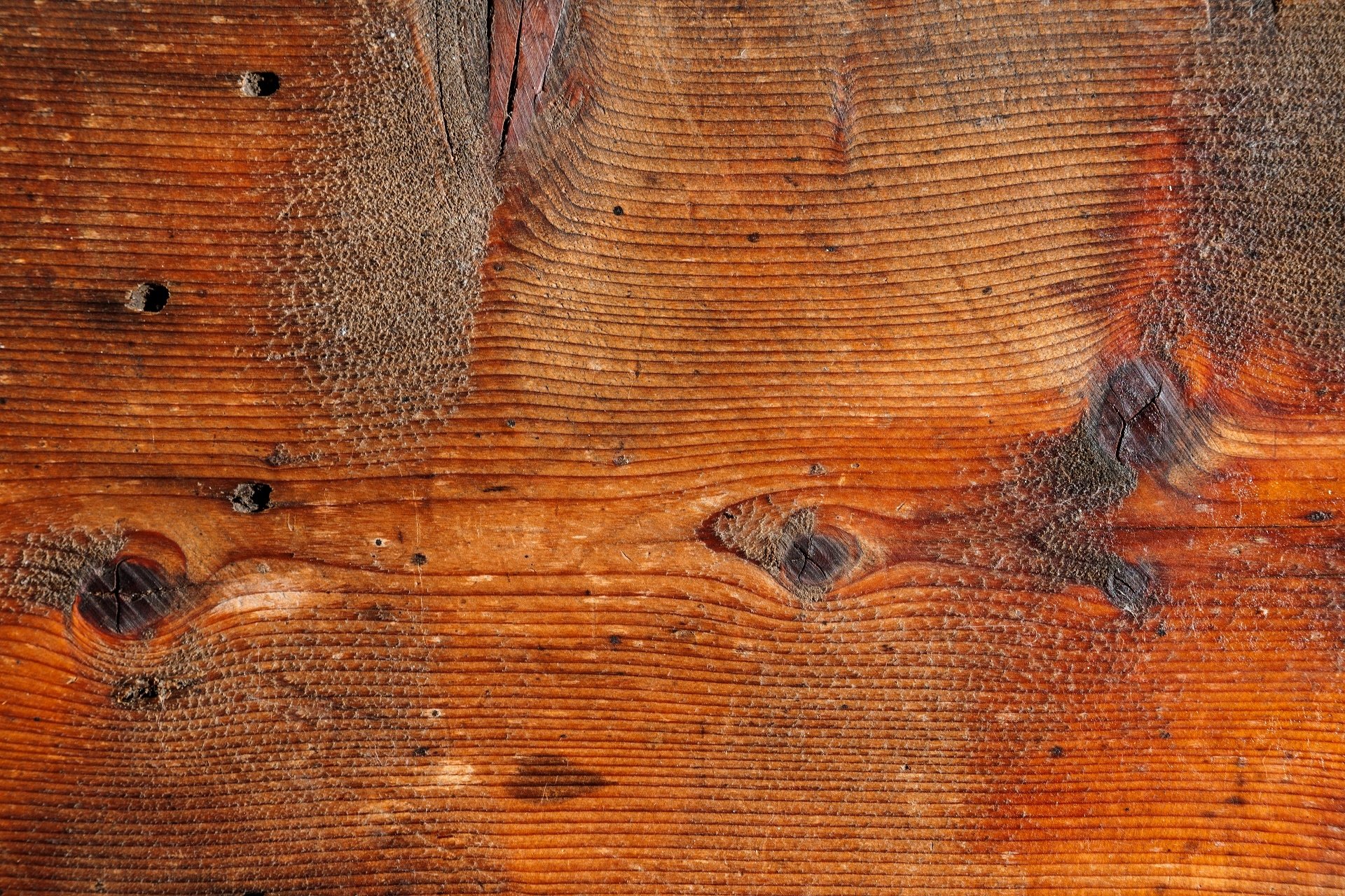 Download Artistic Wood HD Wallpaper