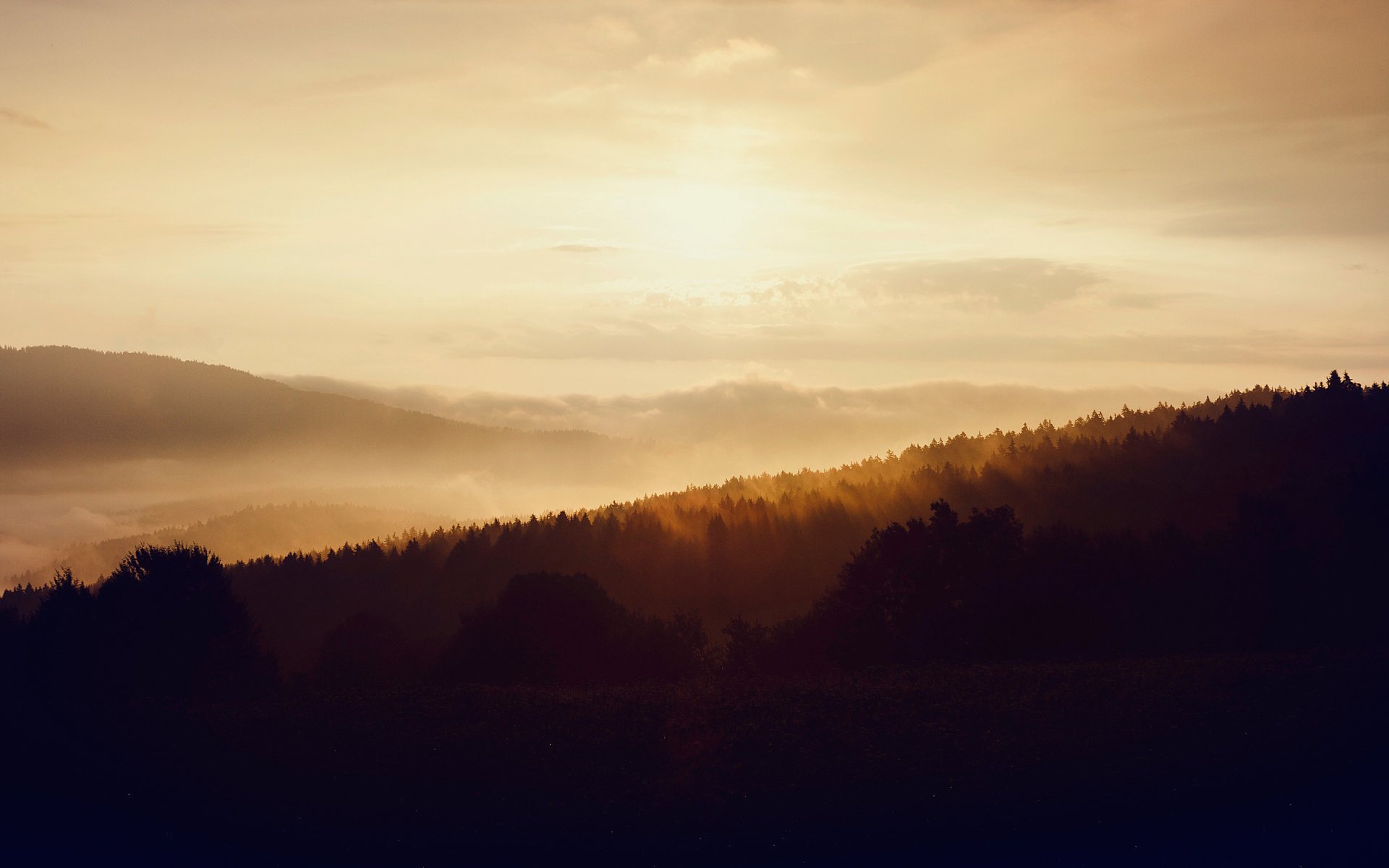 Golden Horizon — 2K Quad HD Sunrise Landscape Wallpaper | 2880x1800 ...