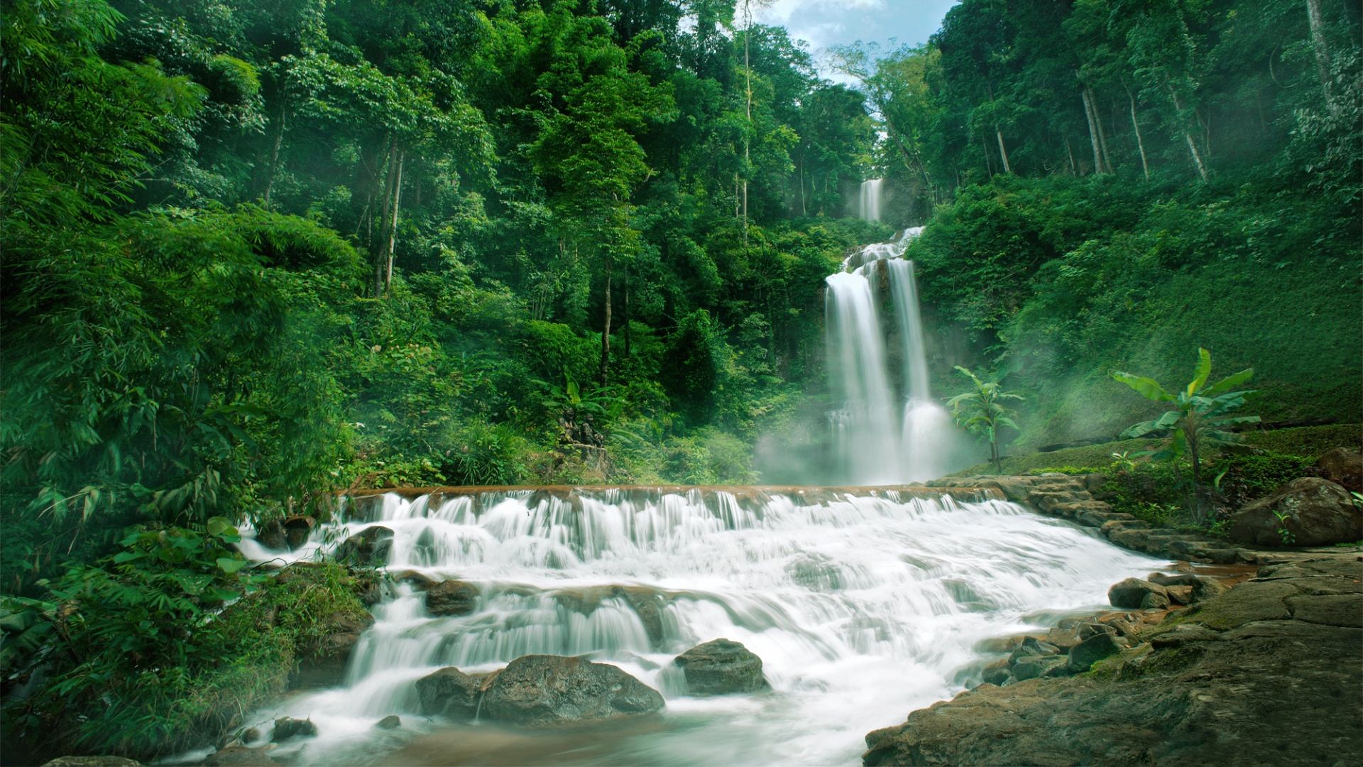 HD Forest Waterfall: Lush Green Nature Escape