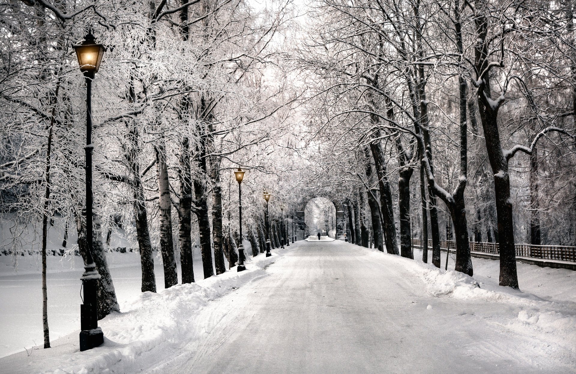 Winter Pathway: Snow-Covered Tree-Lined Park HD Wallpaper