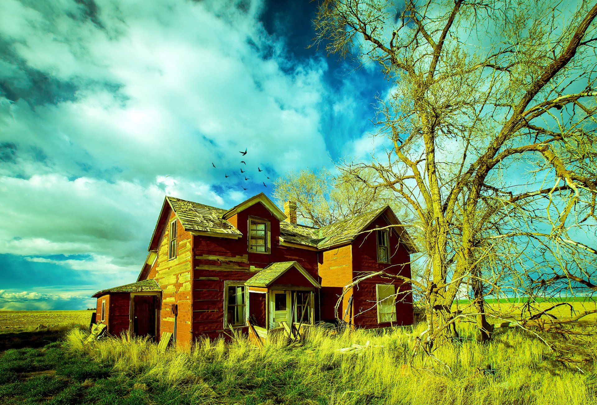 Sunlit Ruins: Abandoned House Amidst Grass and Trees Under Cloudy Skies