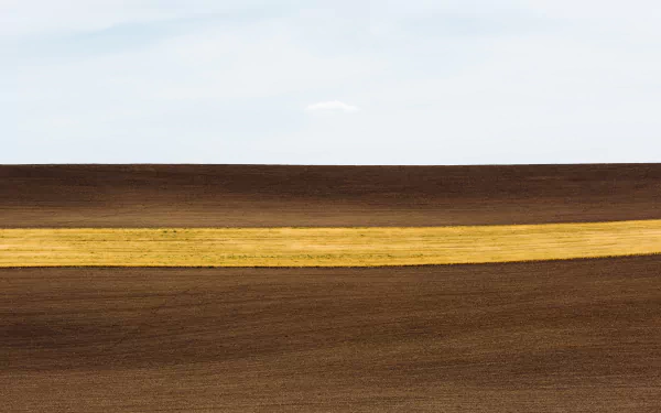 [580+] Field 4k Wallpapers