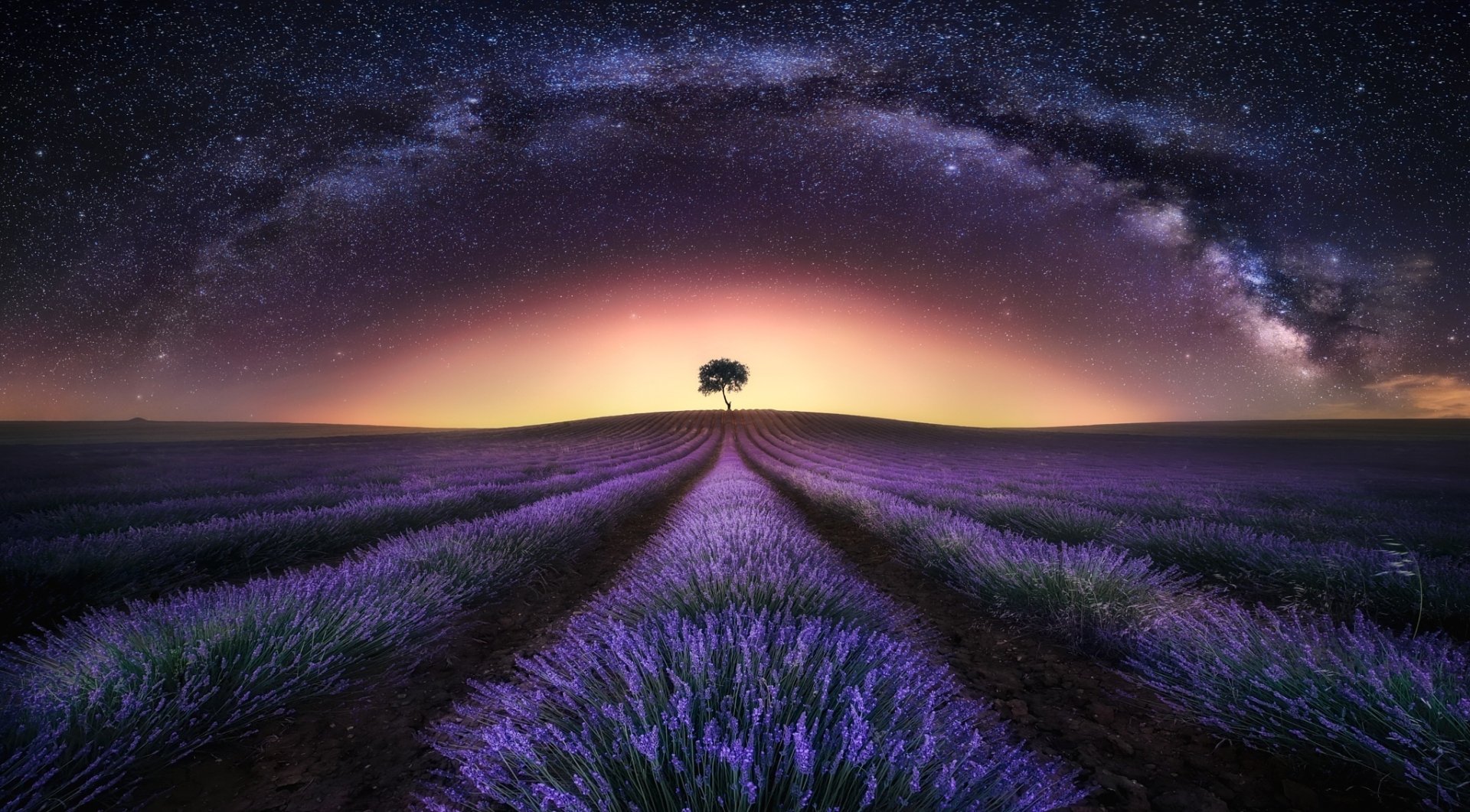 Milky Way Serenity: A Stunning HD Wallpaper of Lavender Fields