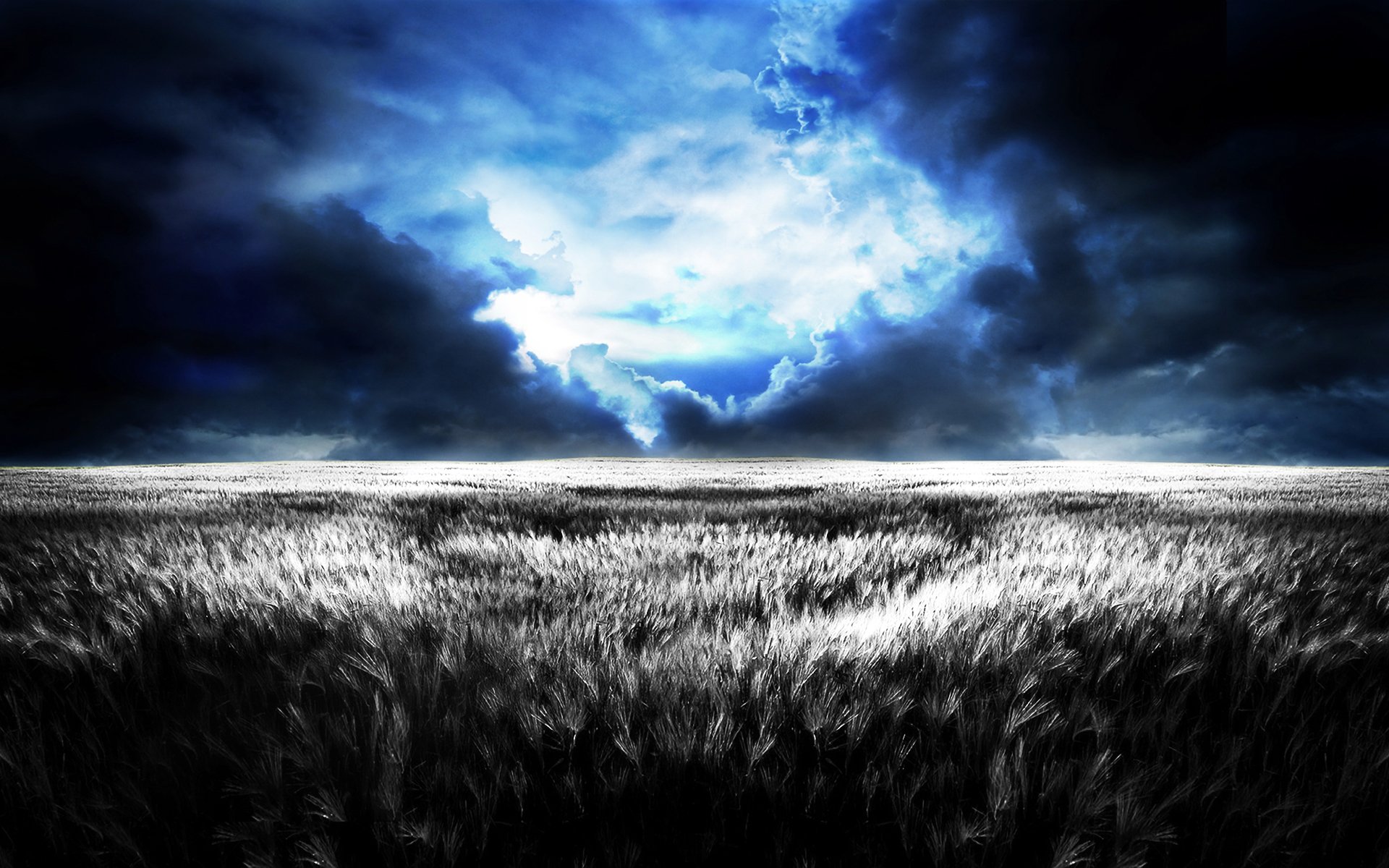 Heavenly Field HD Wallpaper