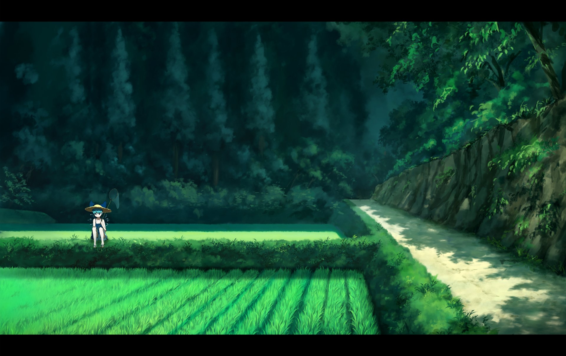 Download Anime Touhou HD Wallpaper