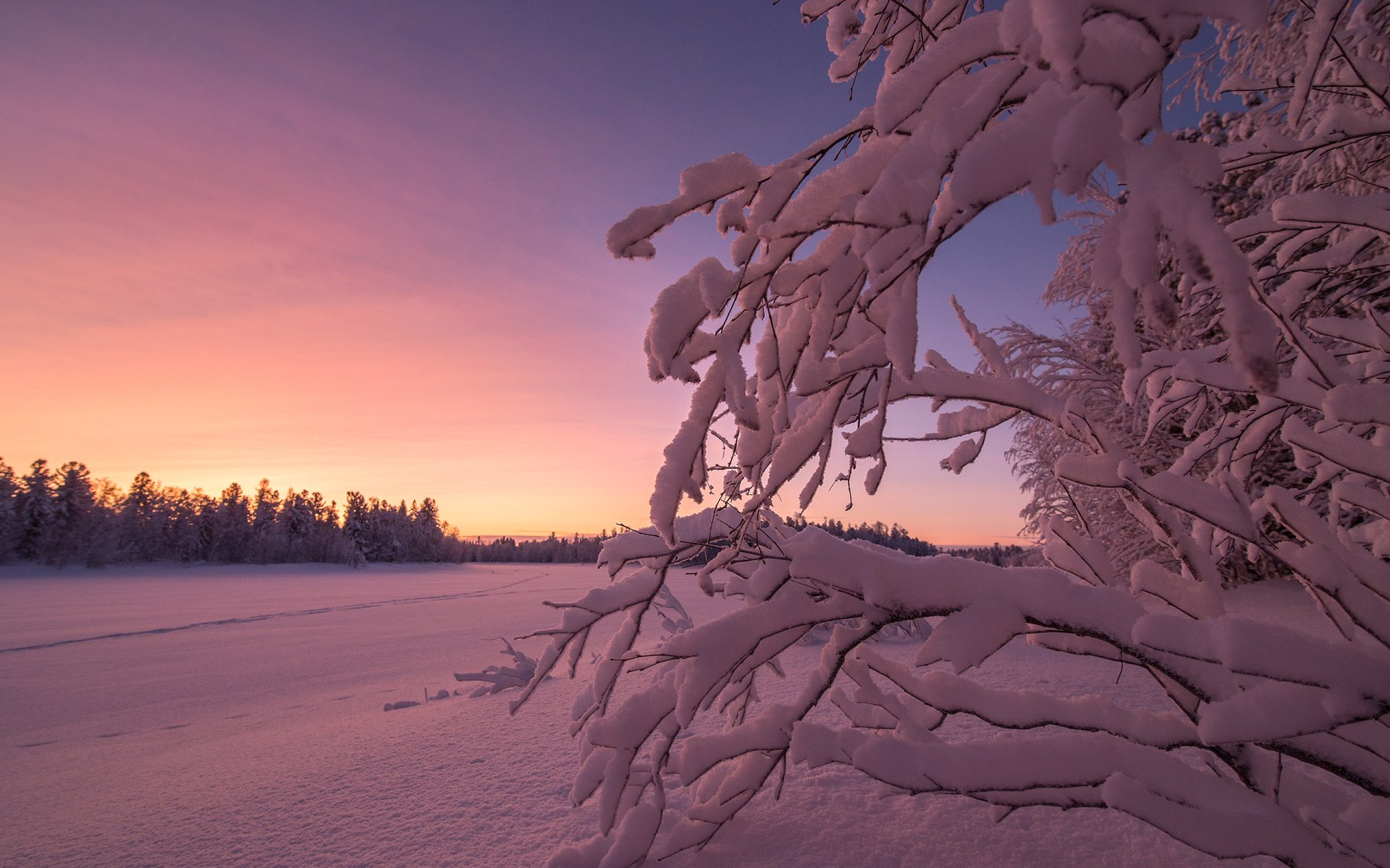 Download Tree Snow Sunset Nature Winter Winter Sunset HD Wallpaper ...